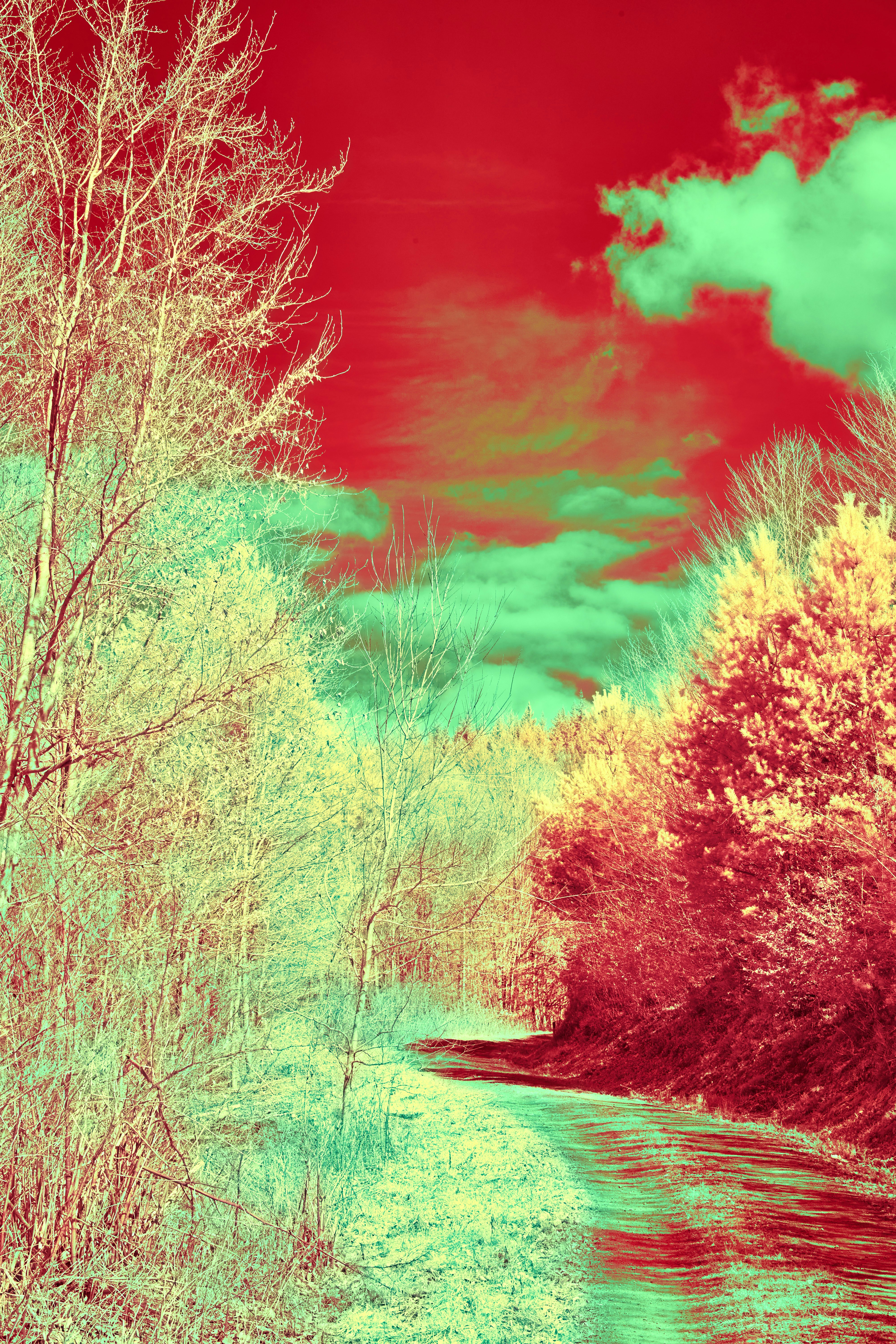 Une photo rouge et verte d’une rivière et d’arbres photo – Image ...