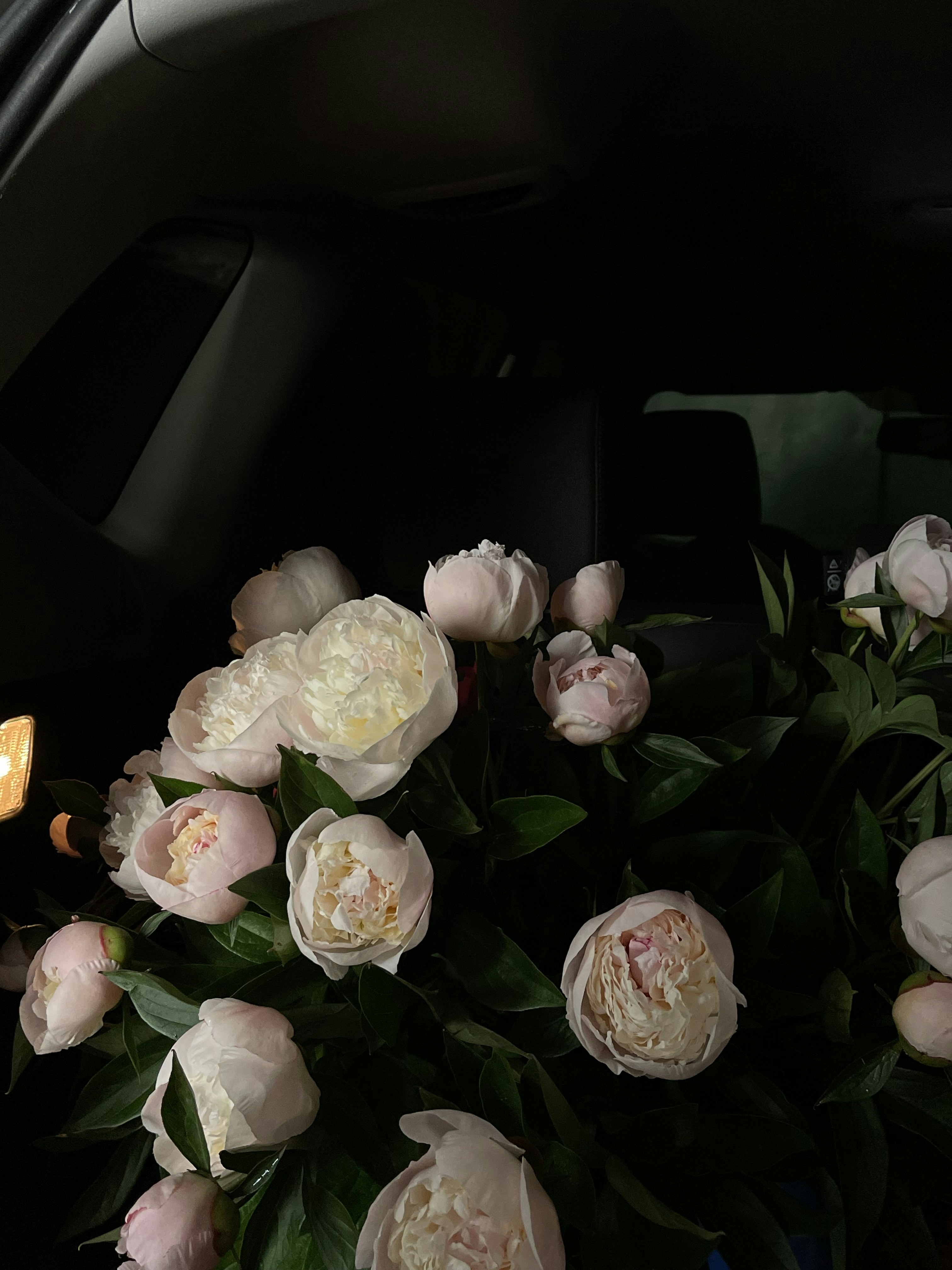 Bouquet Of Roses Tumblr