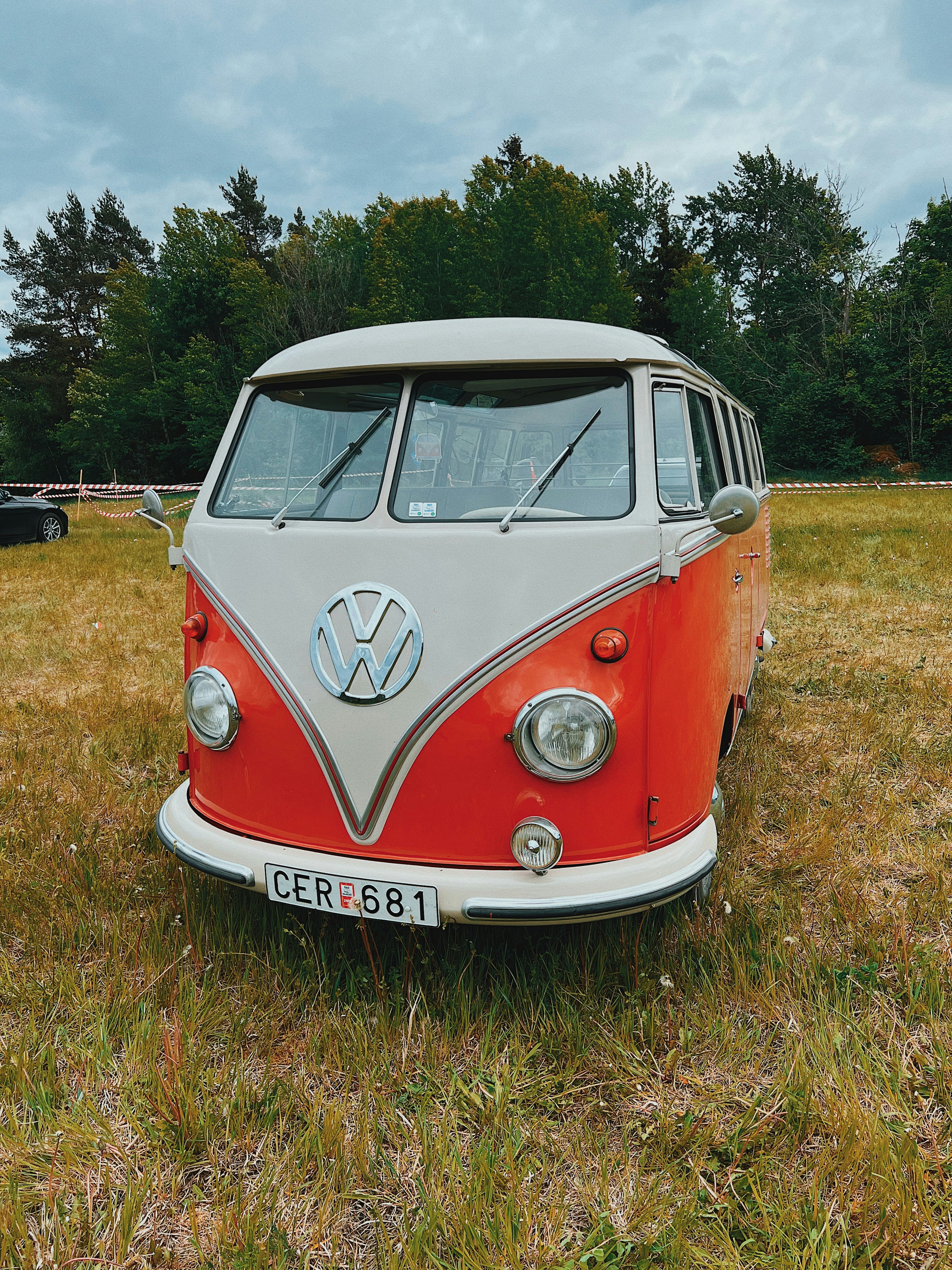Crimson Split-Window VW Bus Resting in a Meadow of Tall Grass