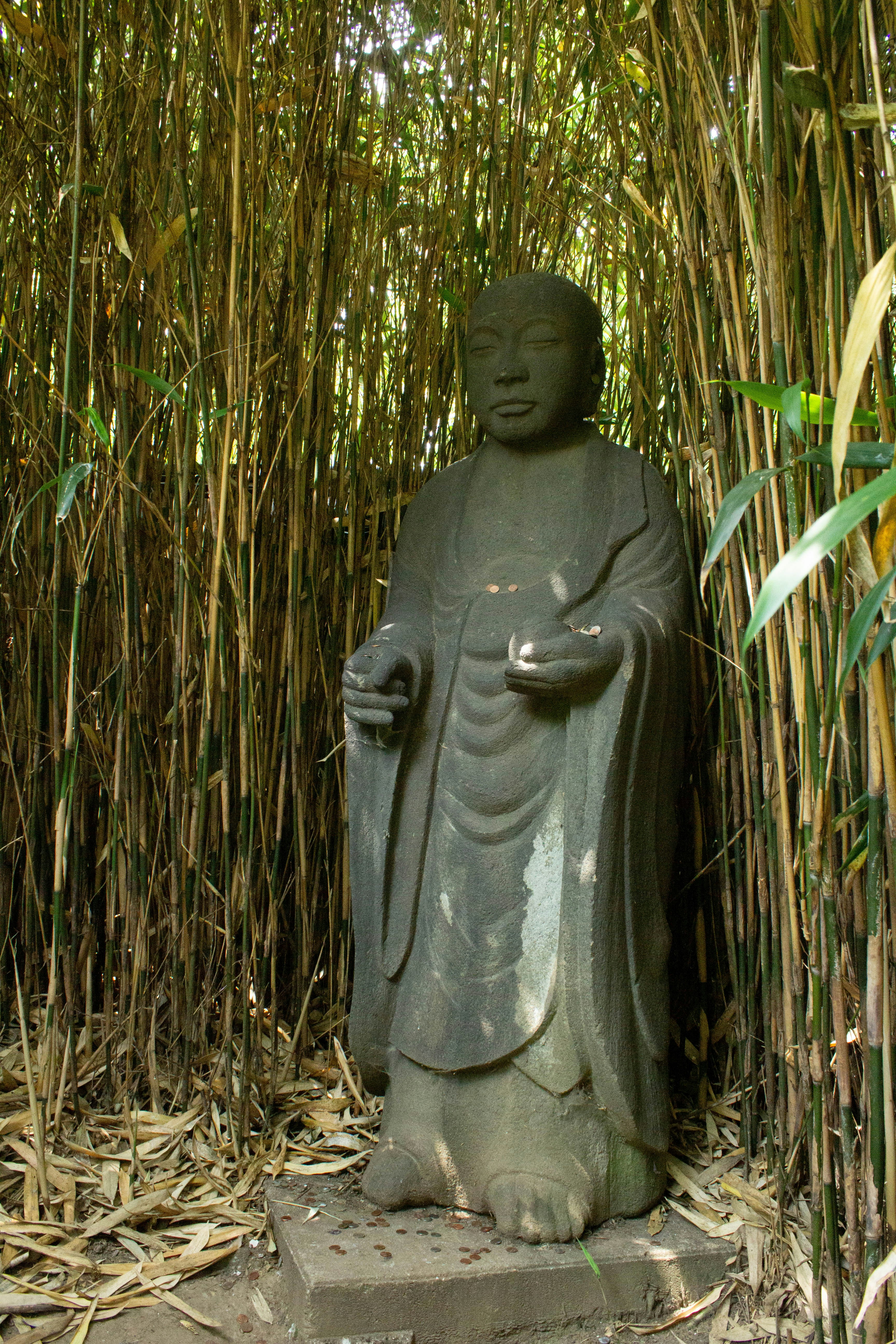 Stone Buddha Amid Bamboo: Quiet Contemplation in a Sunlit Corridor