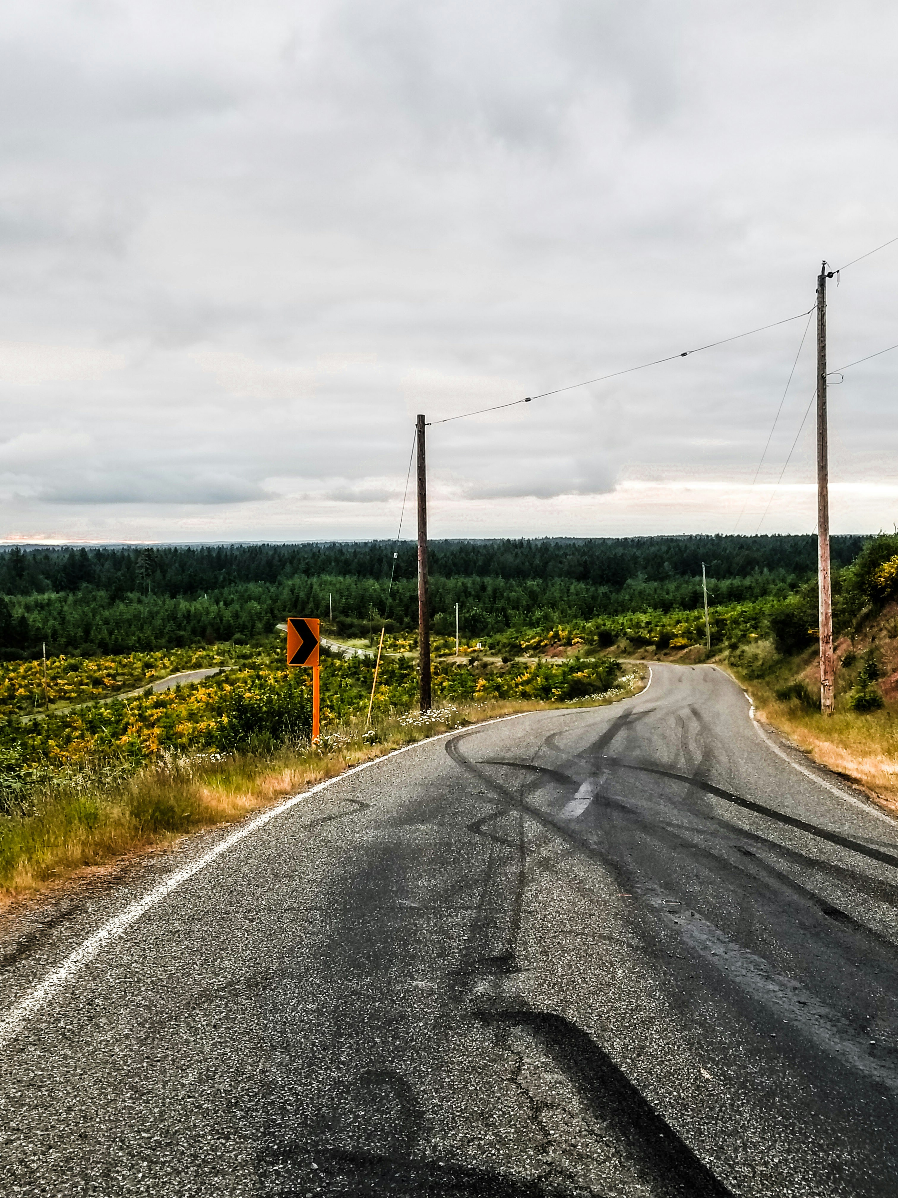 Winding Road Through Open Heath Under a Cloudy Horizon