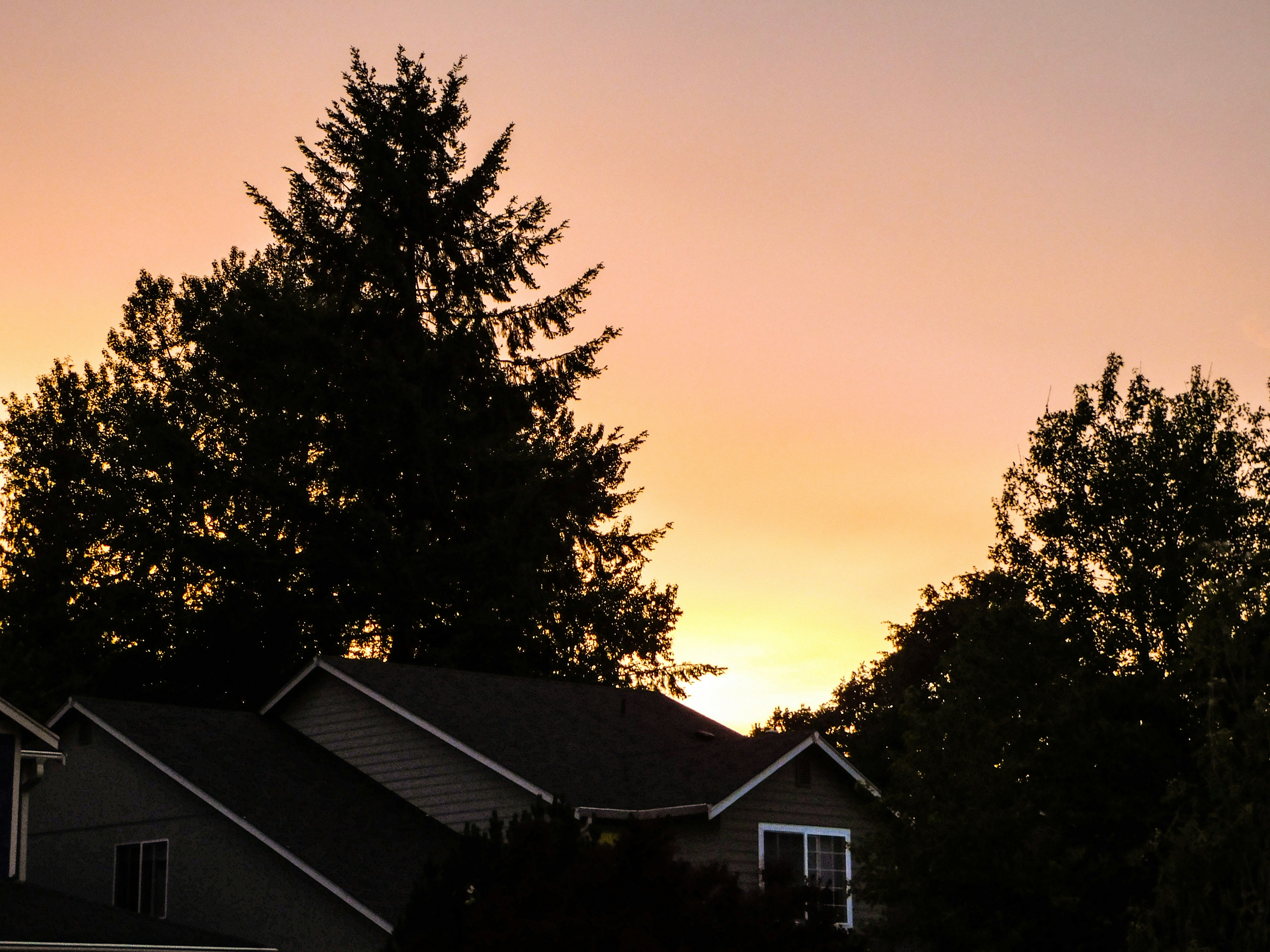 A photograph of silhouetted trees and rooftops against a warm sunset over a suburban neighborhood.