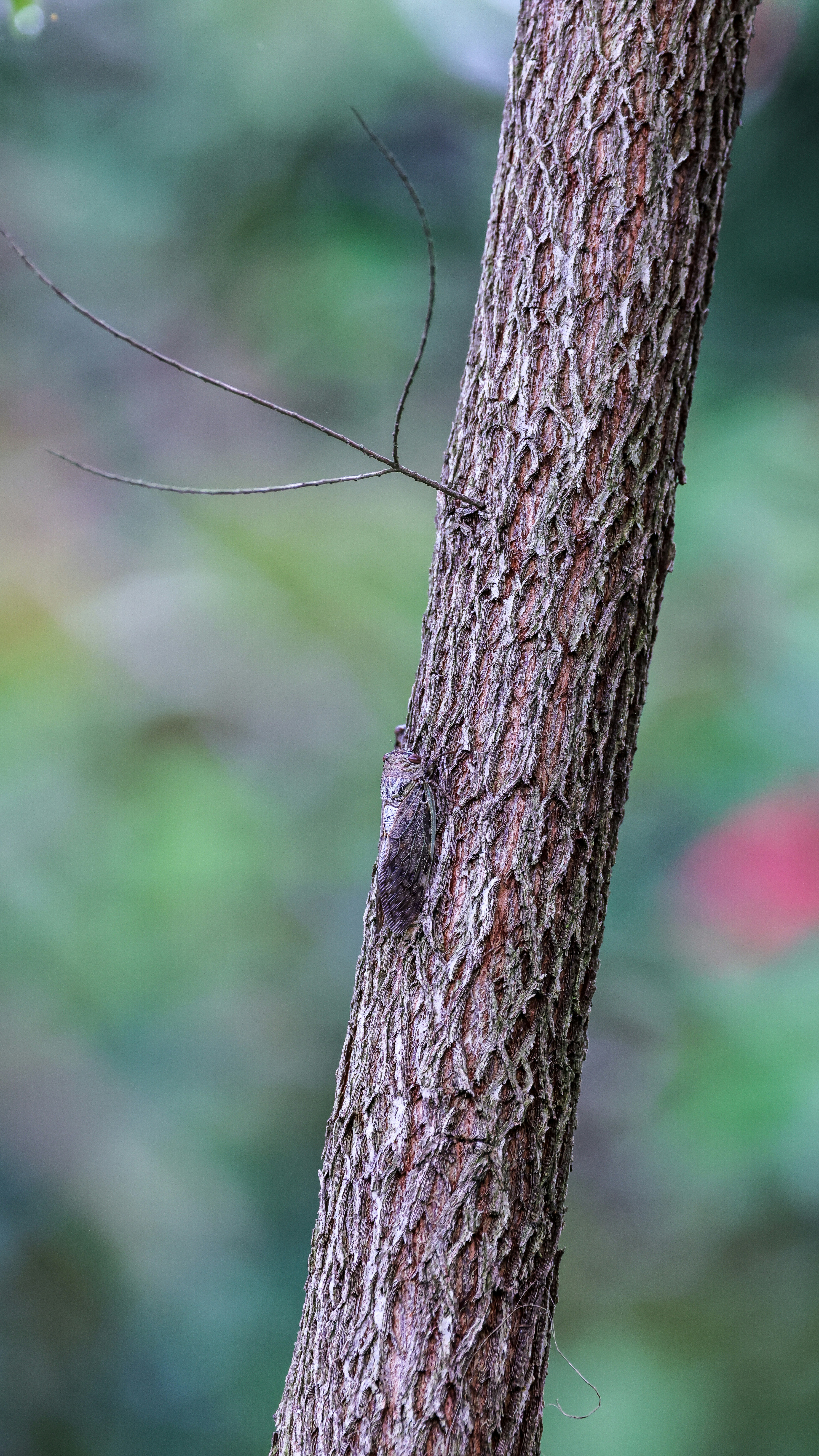 Photo by DL314 Lin with Canon EOS R5