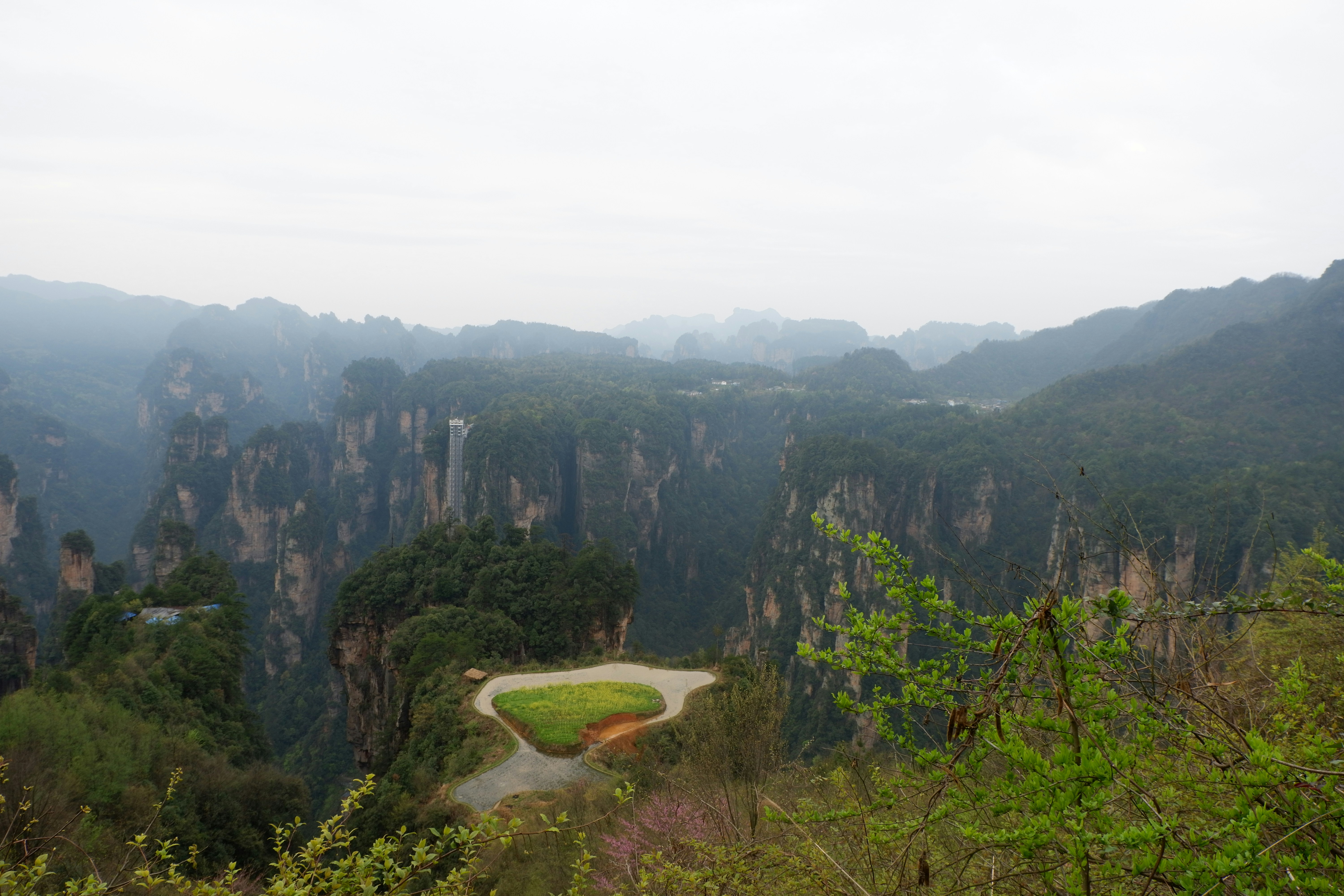 Misty Pillars of Zhangjiajie