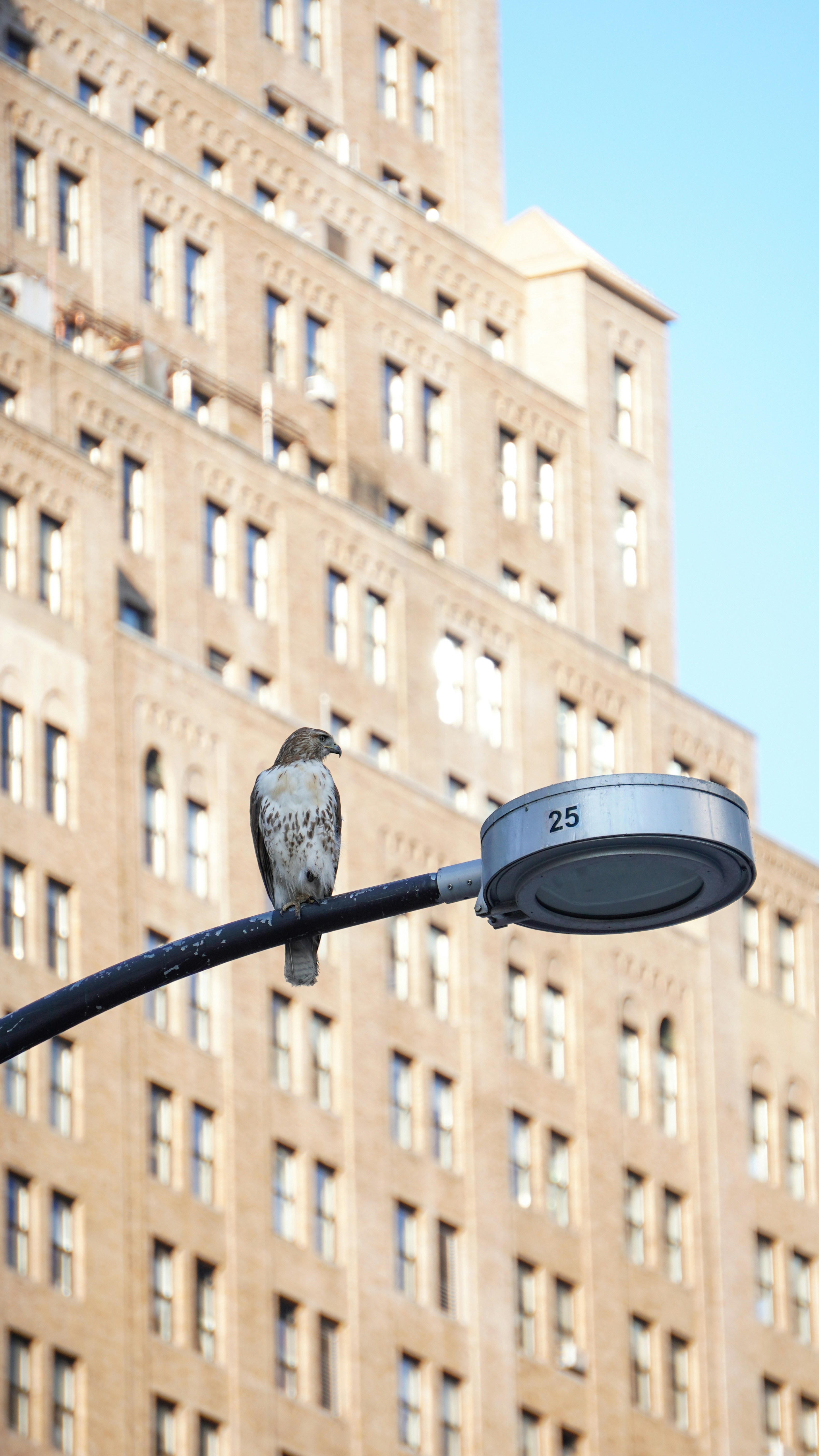 Photo by Koushalya Karthikeyan with Sony Alpha 6100