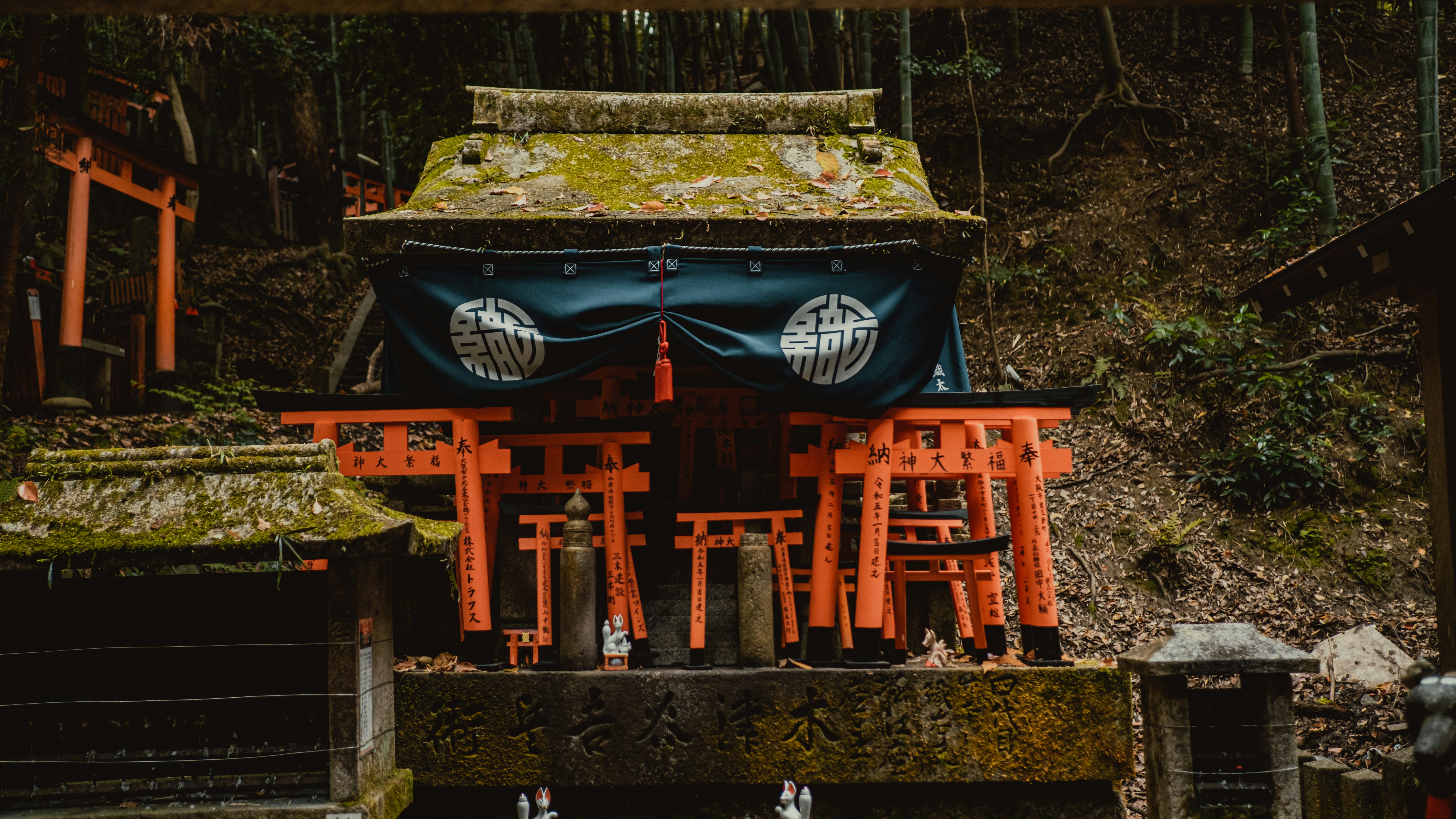 Moss-Bathed Shrine Beneath a Gate of Torii in a Forest Sanctuary