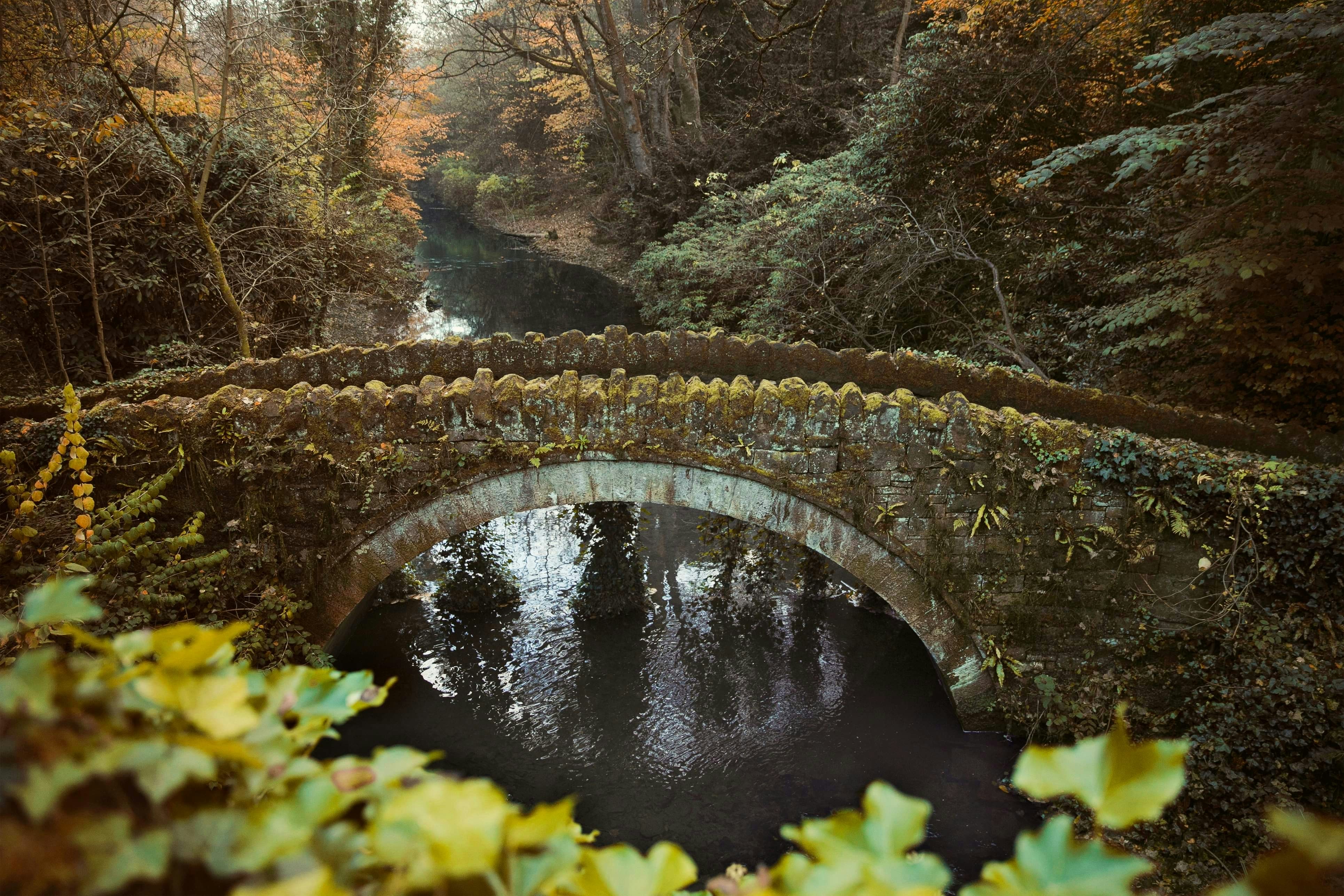 A stone bridge over a river surrounded by trees photo – Free Jesmond ...