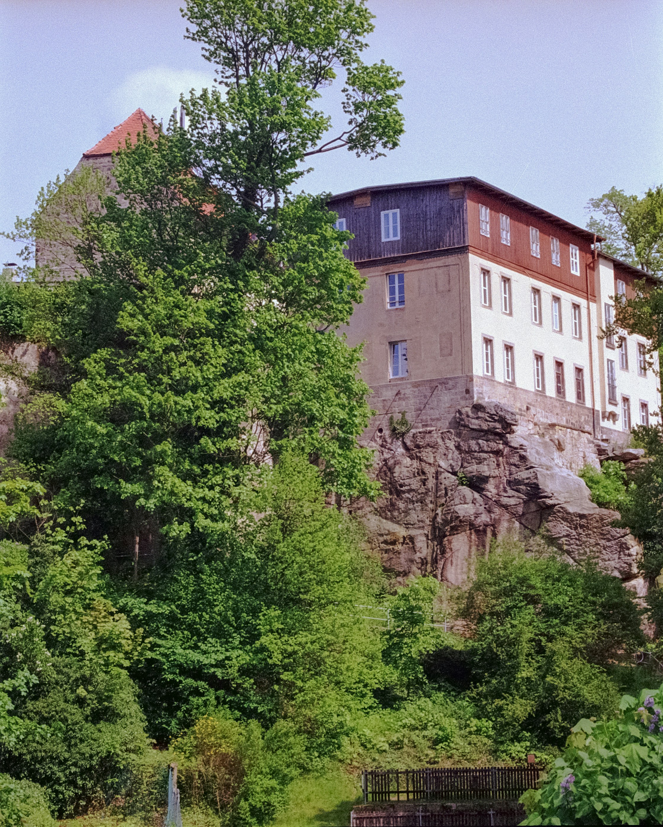 Photo by Artists Eyes with Plustek OpticFilm 8200i