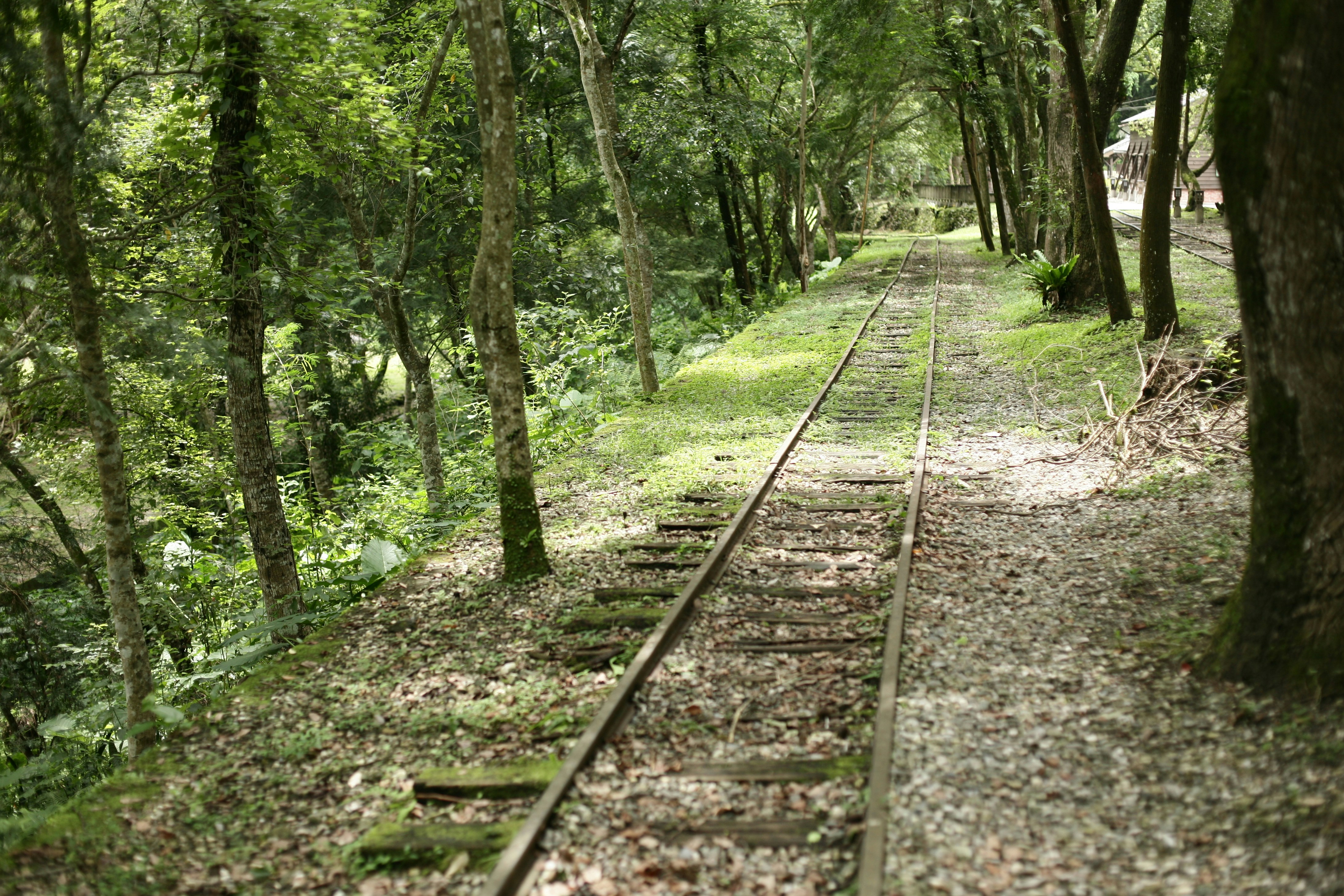 Photo by MChe Lee with CANON EOS 5D