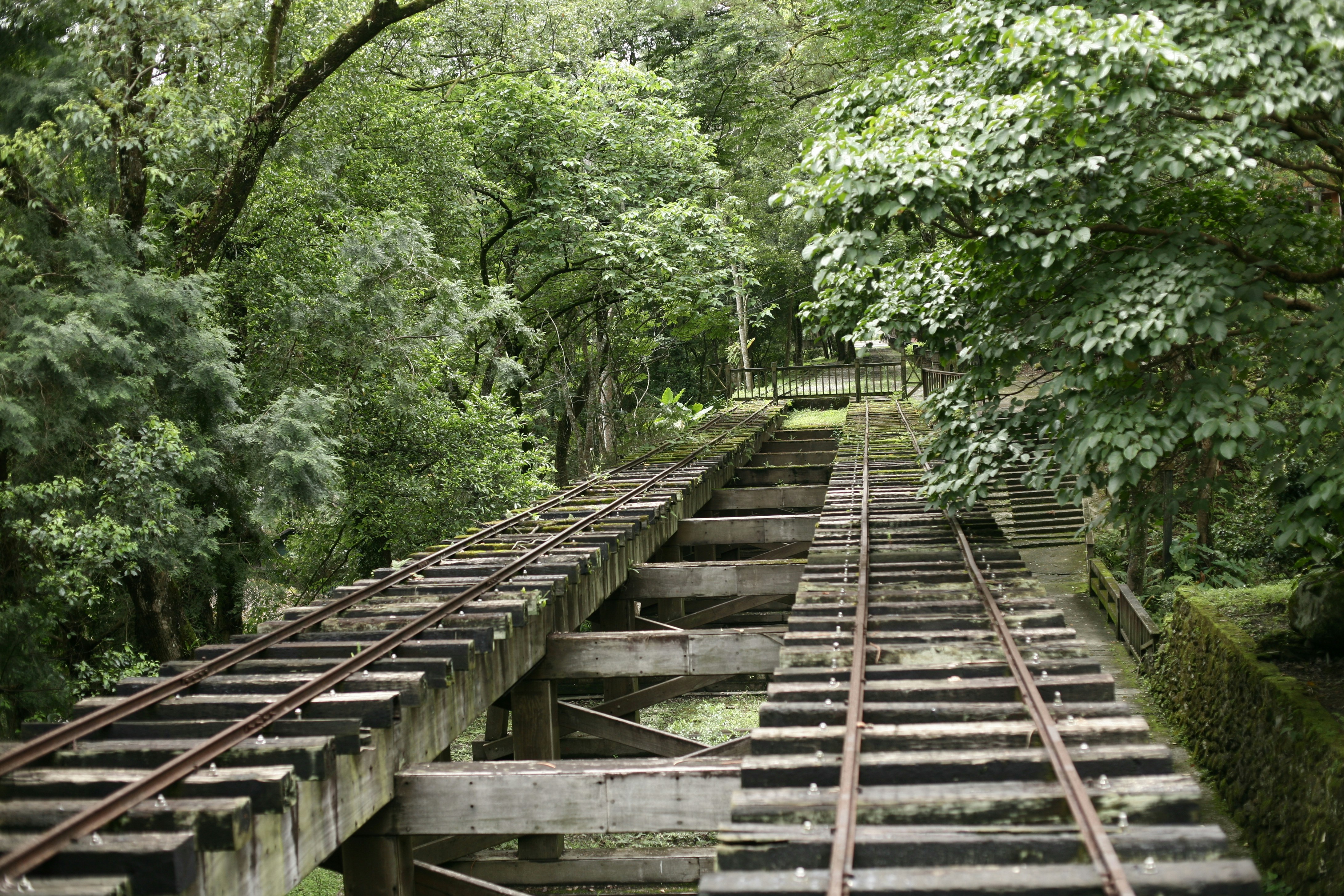 A set of train tracks running through a forest photo – Free Land Image ...