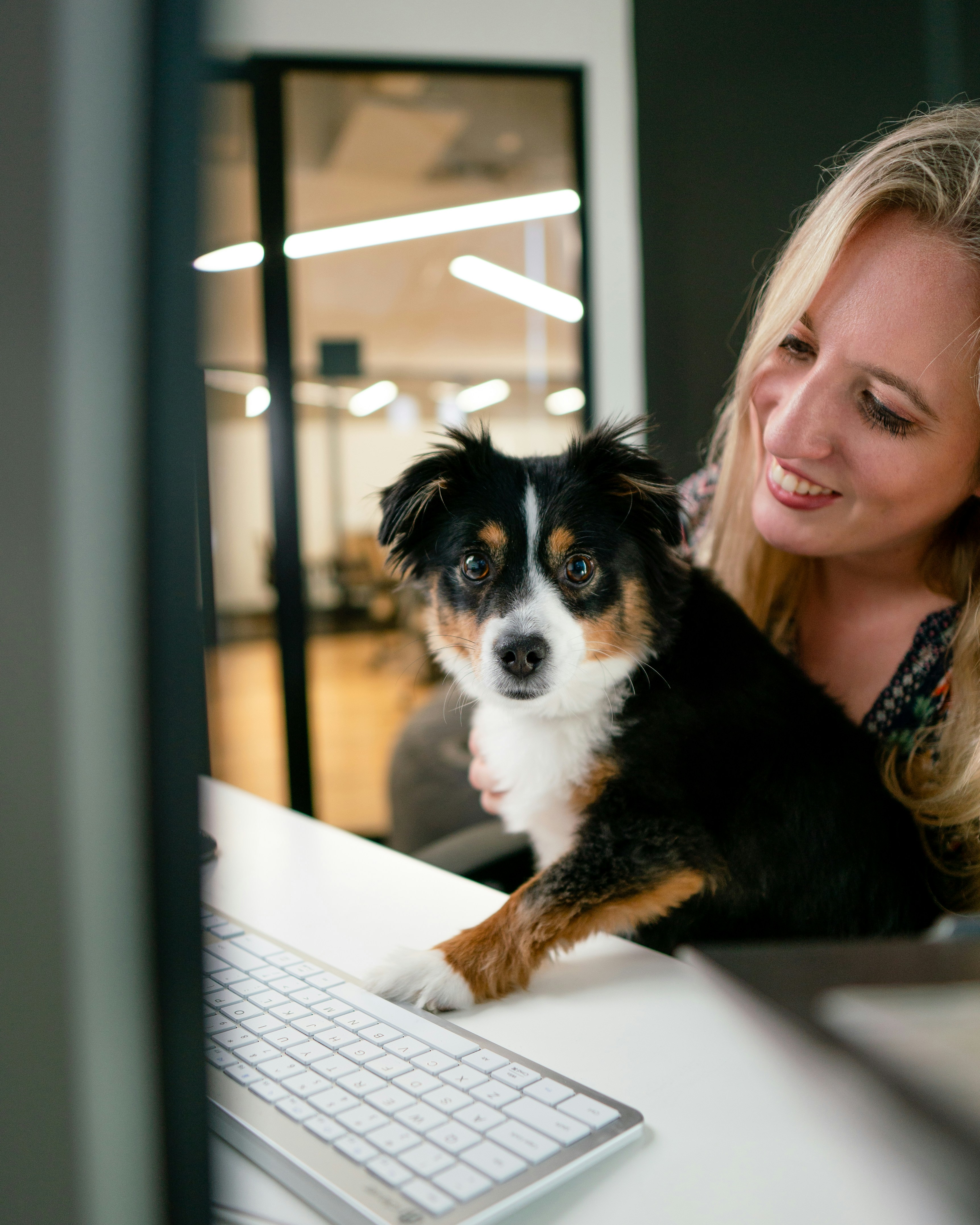 Desk-side Pup: A Playful Moment Between a Dog and Its Human at the Keyboard