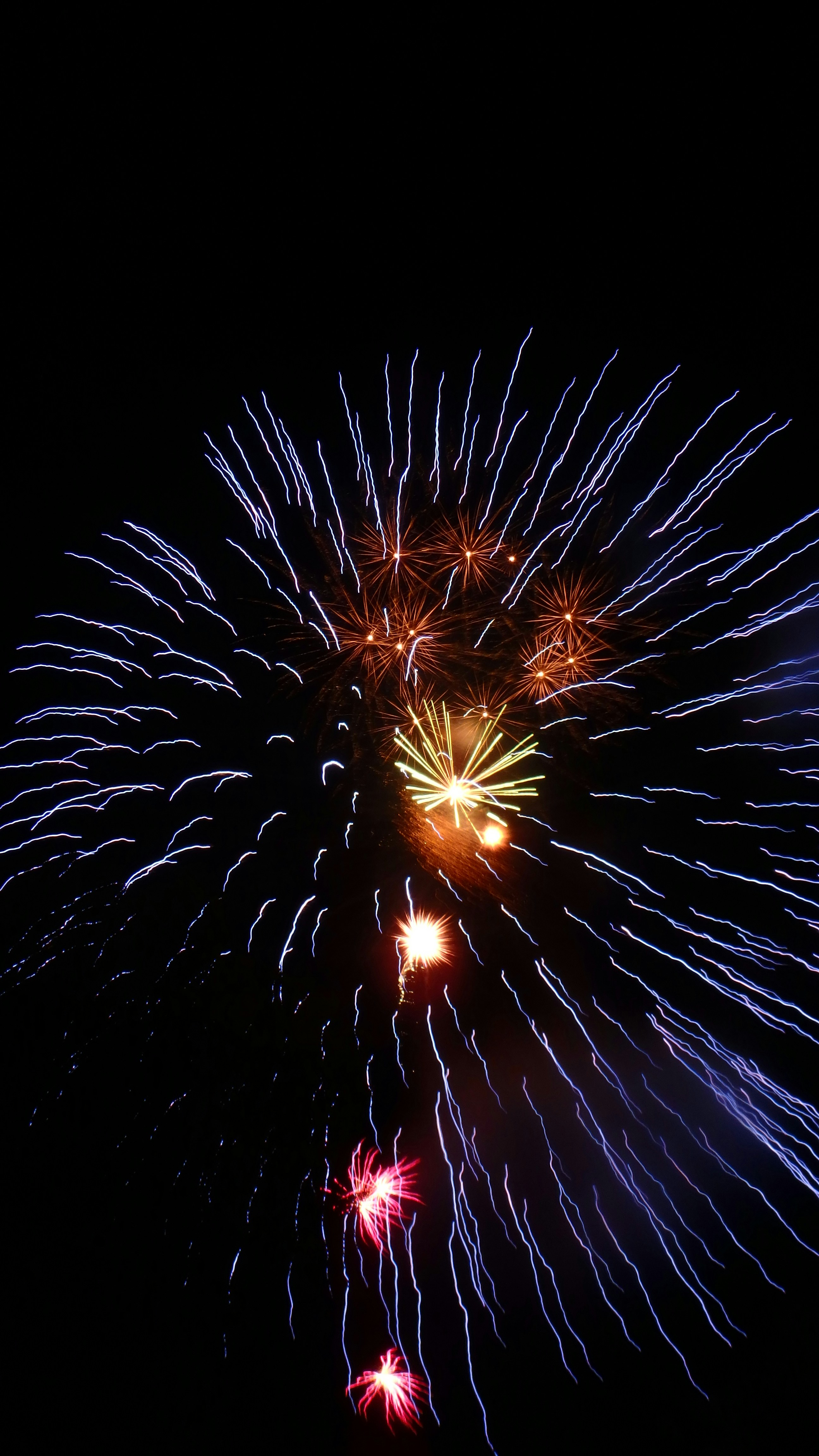 A colorful fireworks display in the night sky photo – Free Green ...