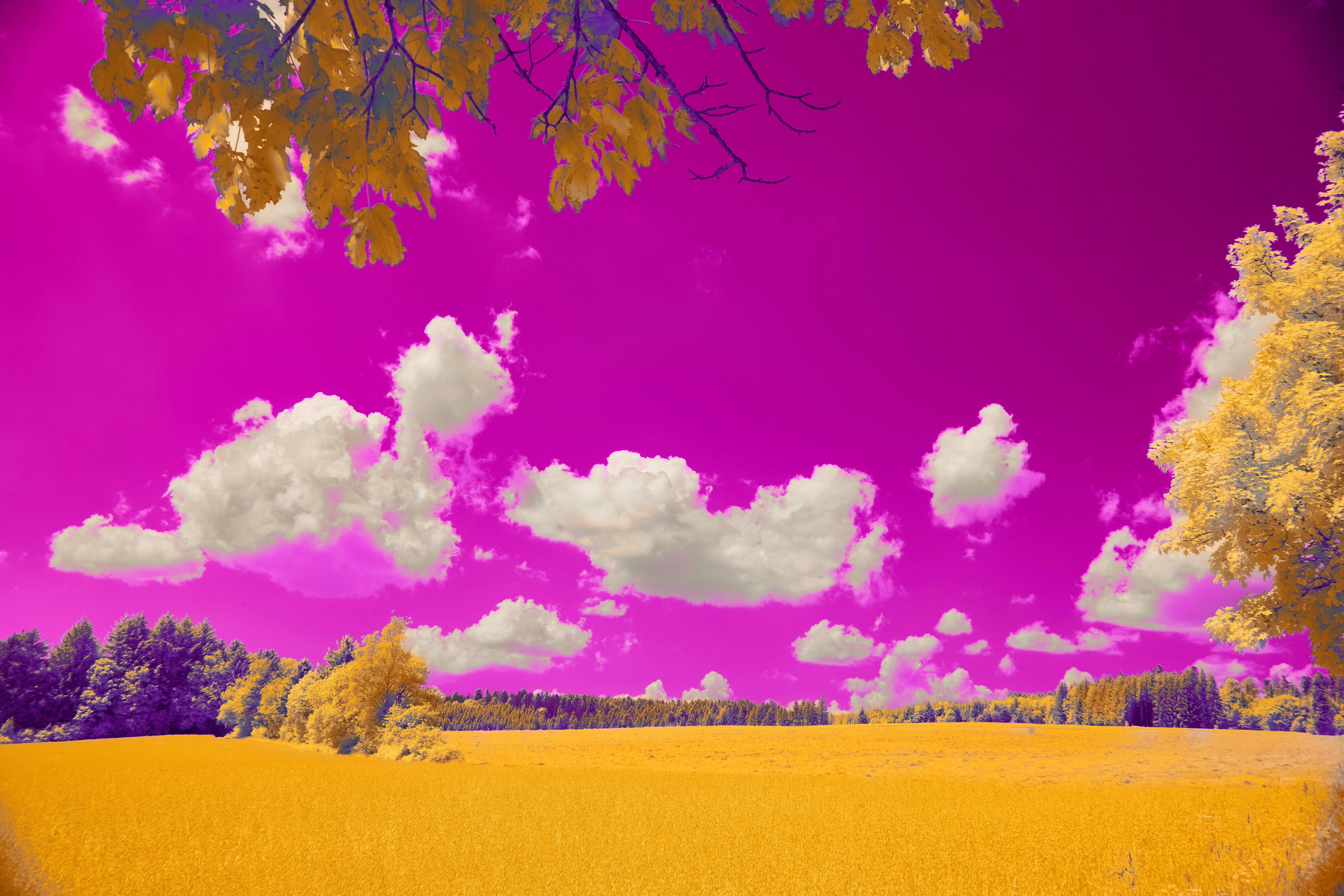 One Color Background Pictures | Download Free Images on Unsplash