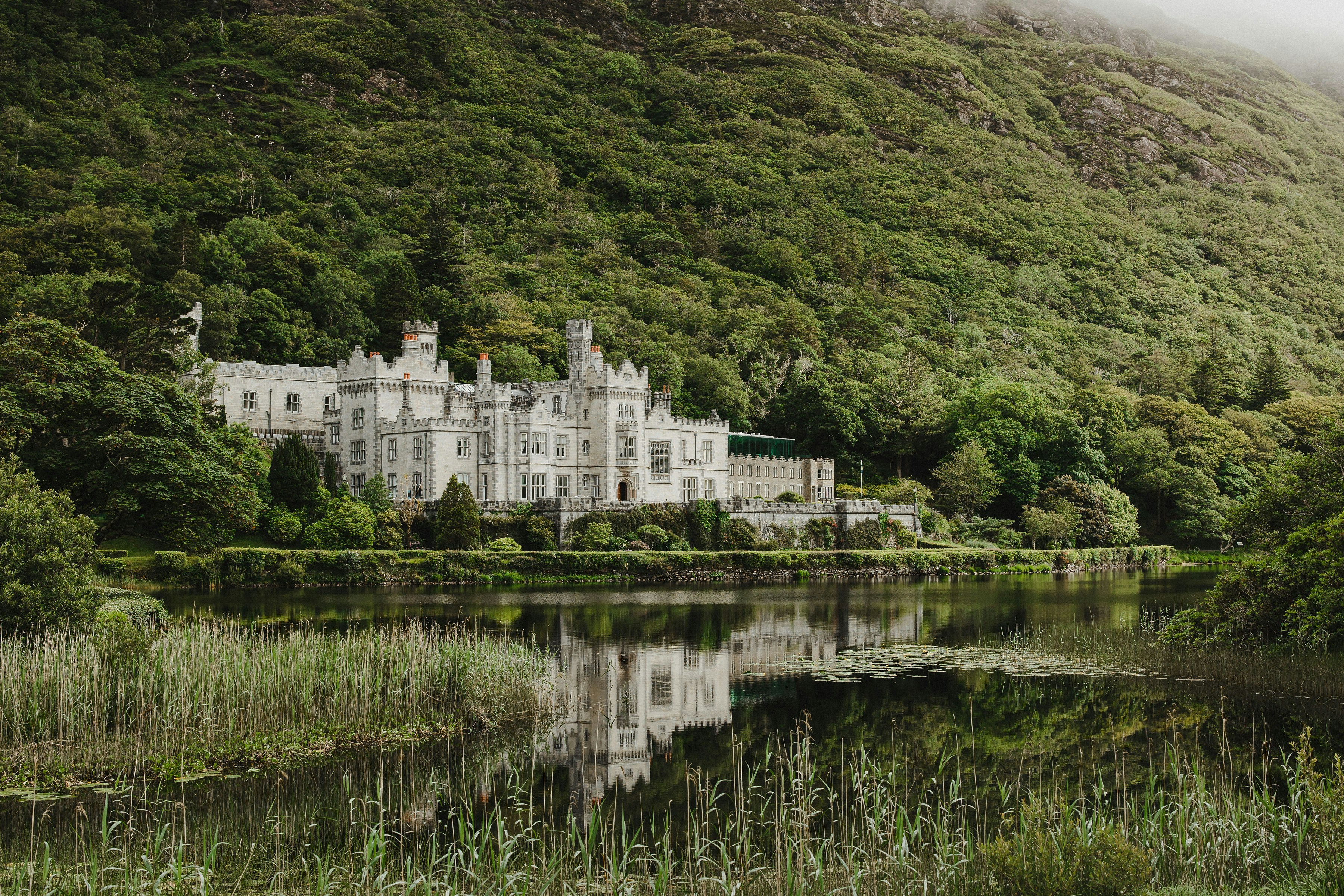 A large white castle sitting on top of a lush green hillside photo ...