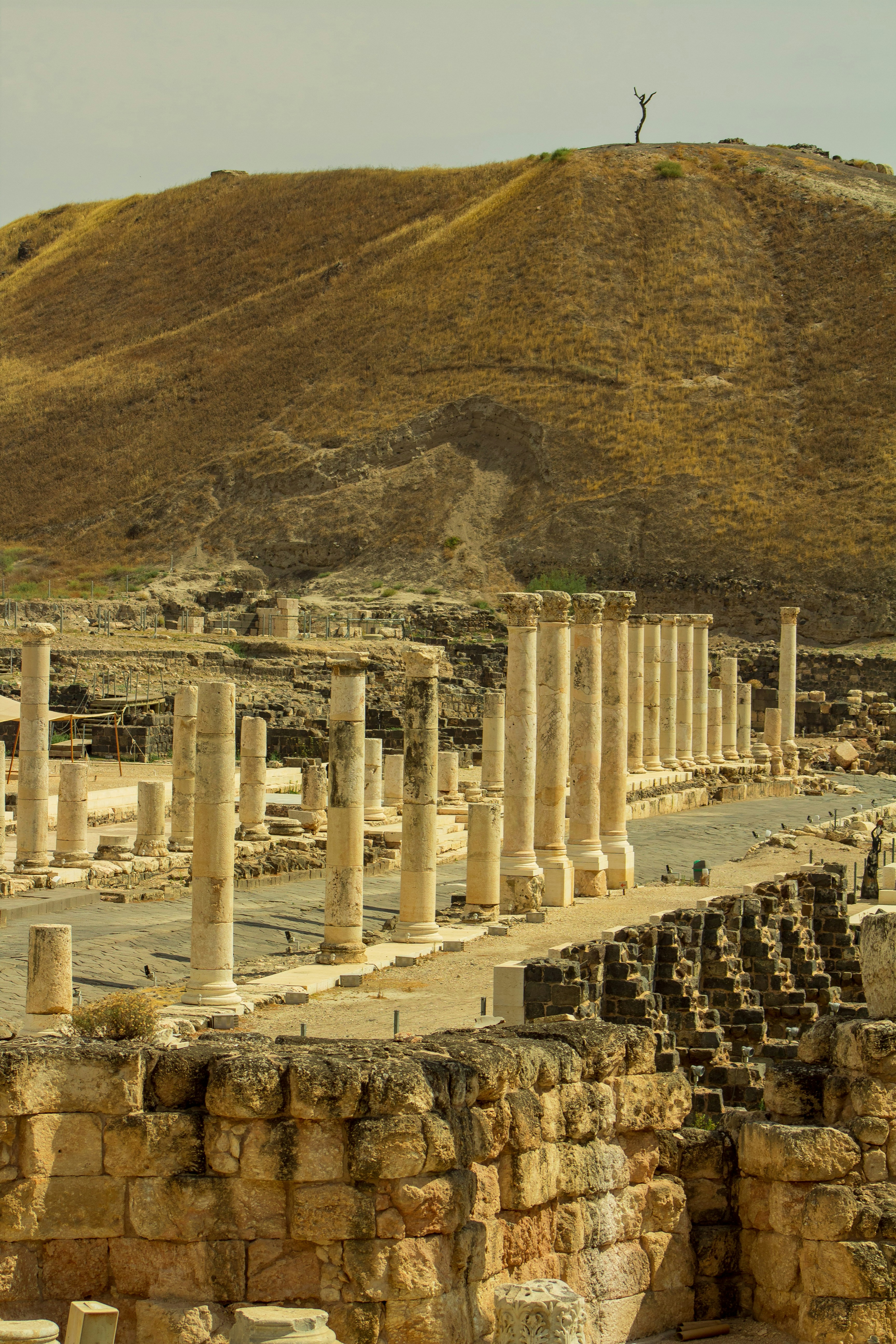 The ruins of the ancient city of palmyran photo – Free Beit she'arim ...