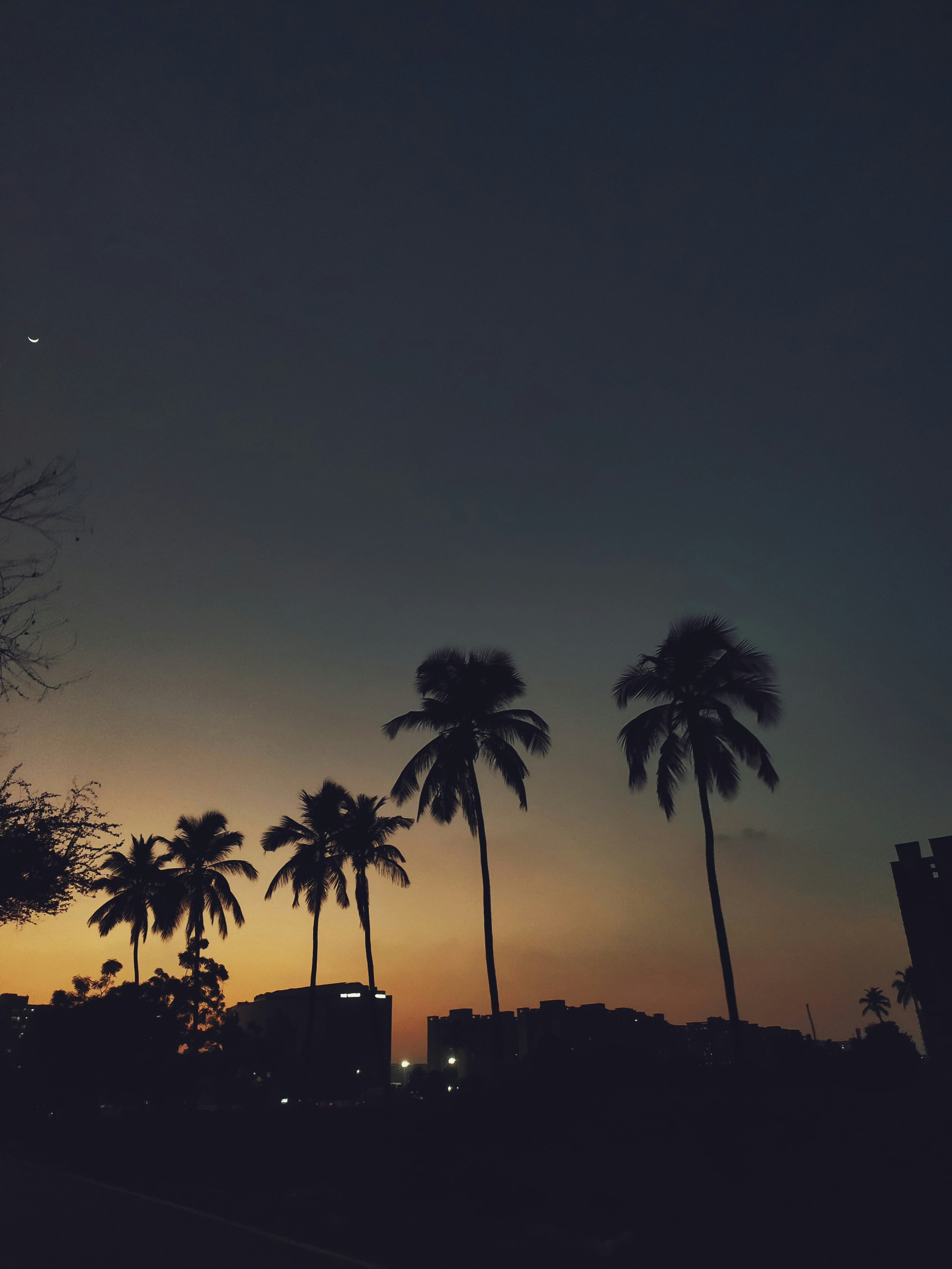 Photo by Jitendra Verma with Vivo Z1X