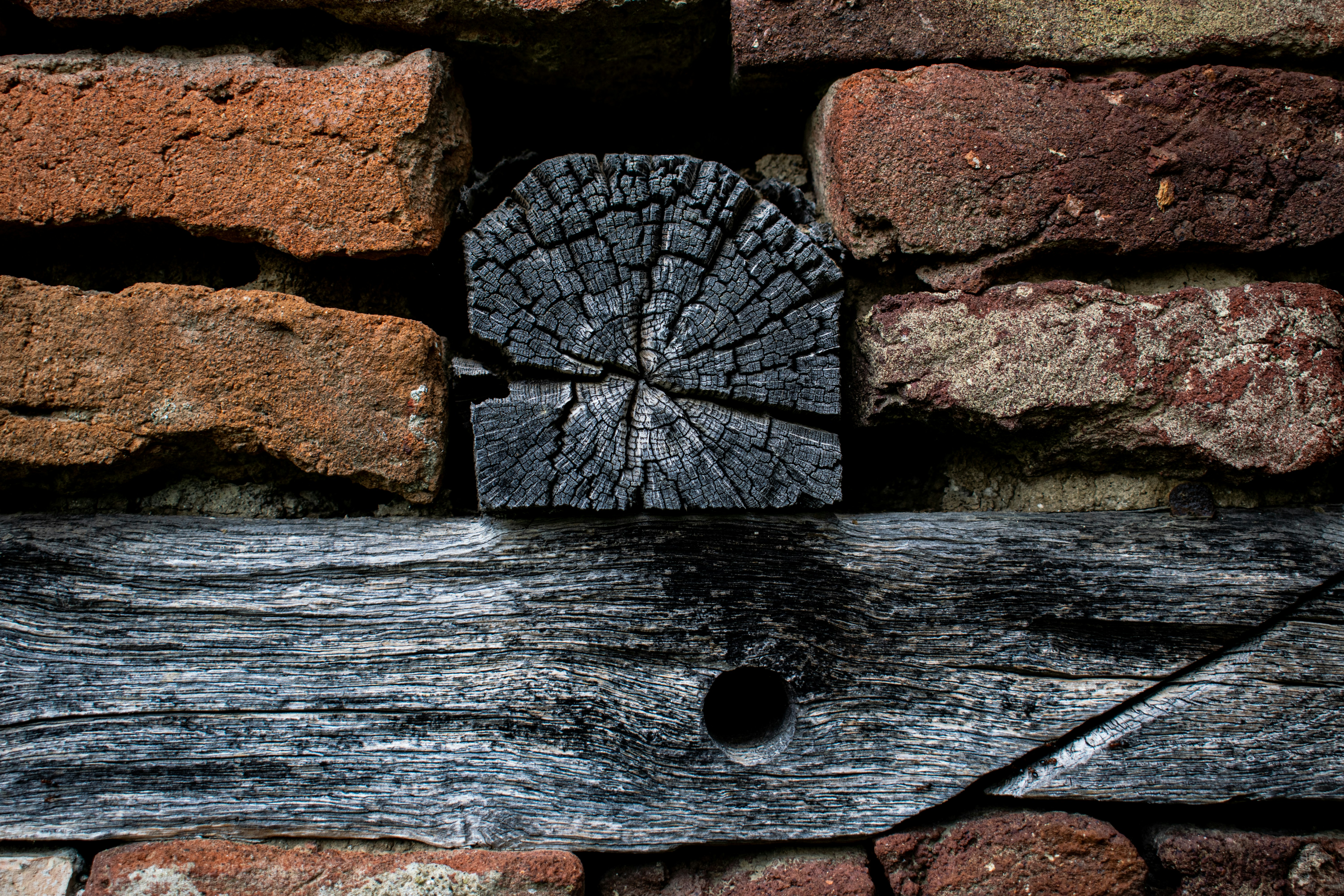 Center Slice: A Weathered Log Framed by Brick