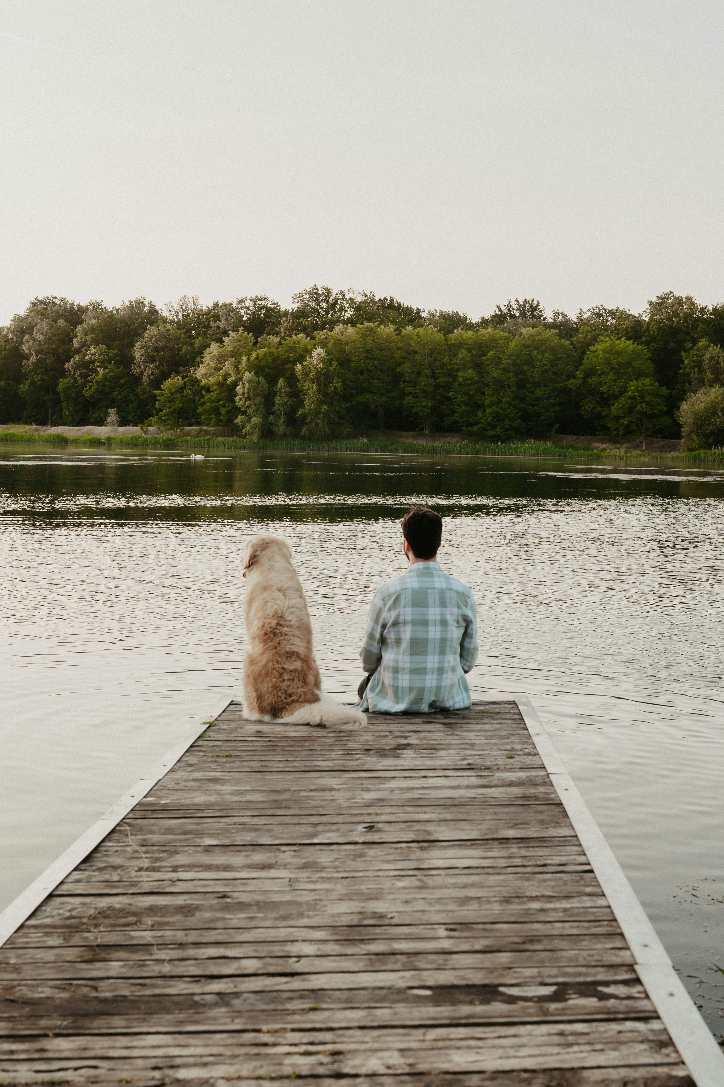 A man in a plaid shirt sits with his dog at the end of a weathered wooden dock, overlooking a calm lake. The photograph captures a quiet moment of companionship against a tree-lined shore.
