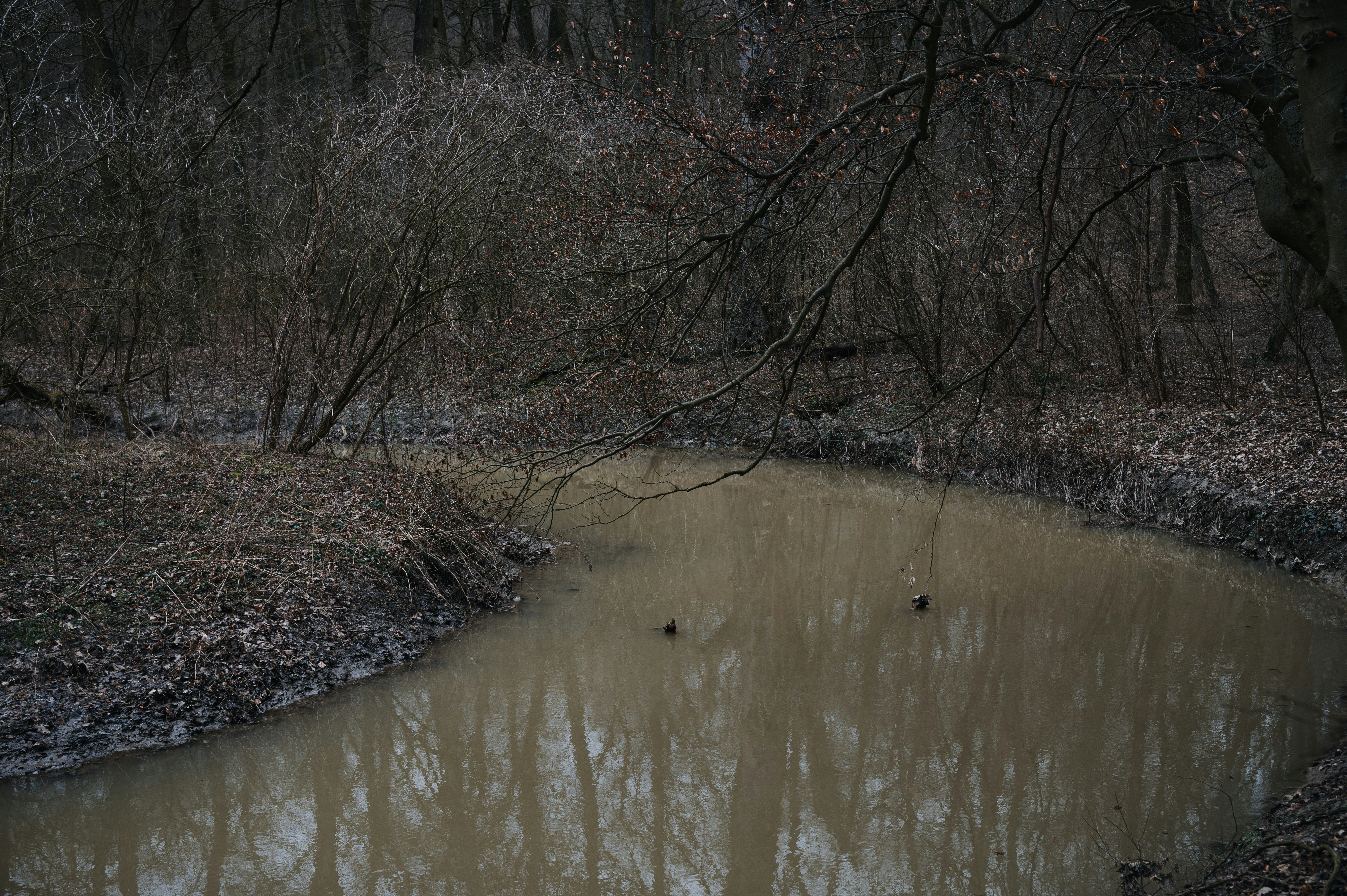 Free Riverside Image on Unsplash