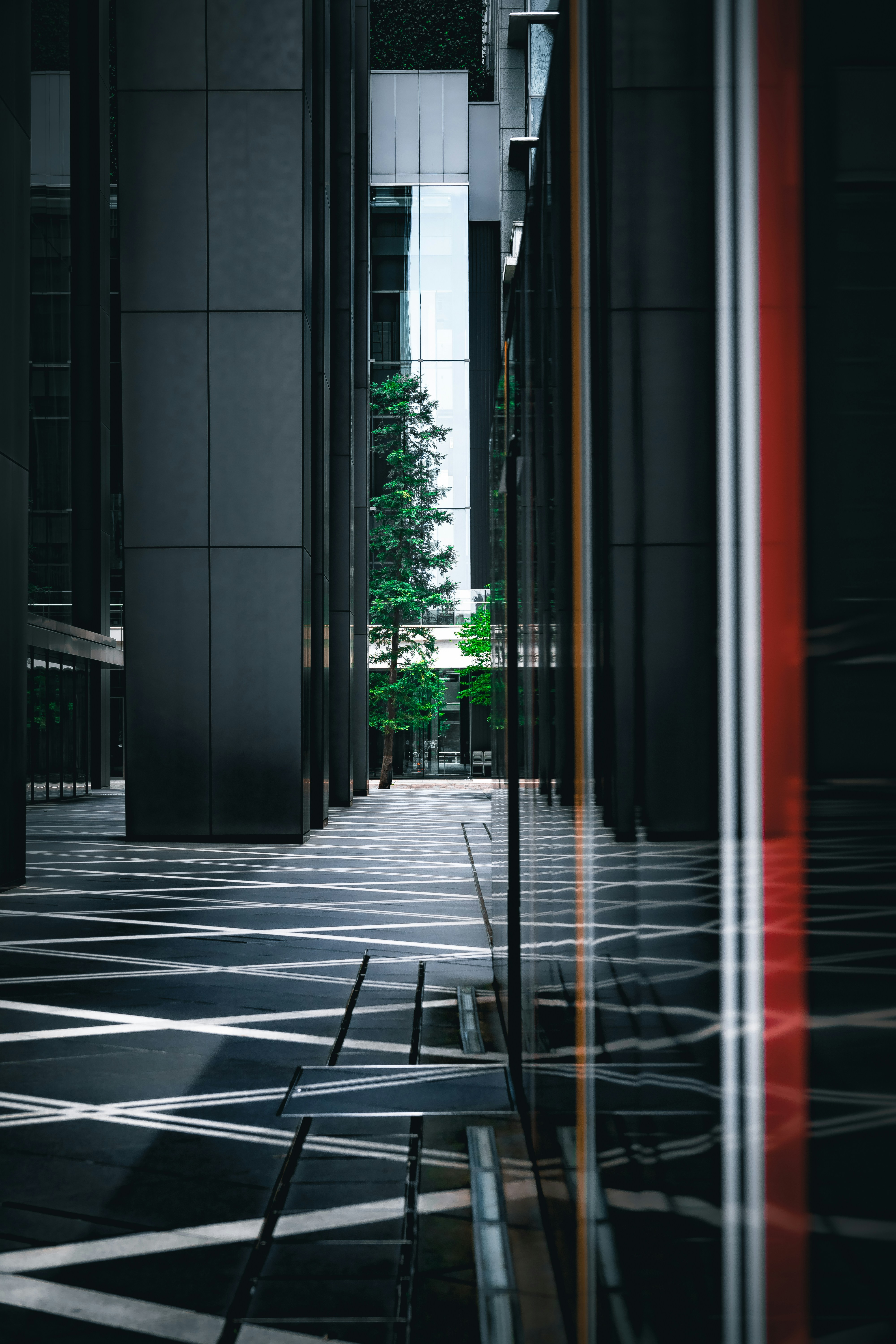 Green Interlude Beyond the Glass-Colonnaded Walkway