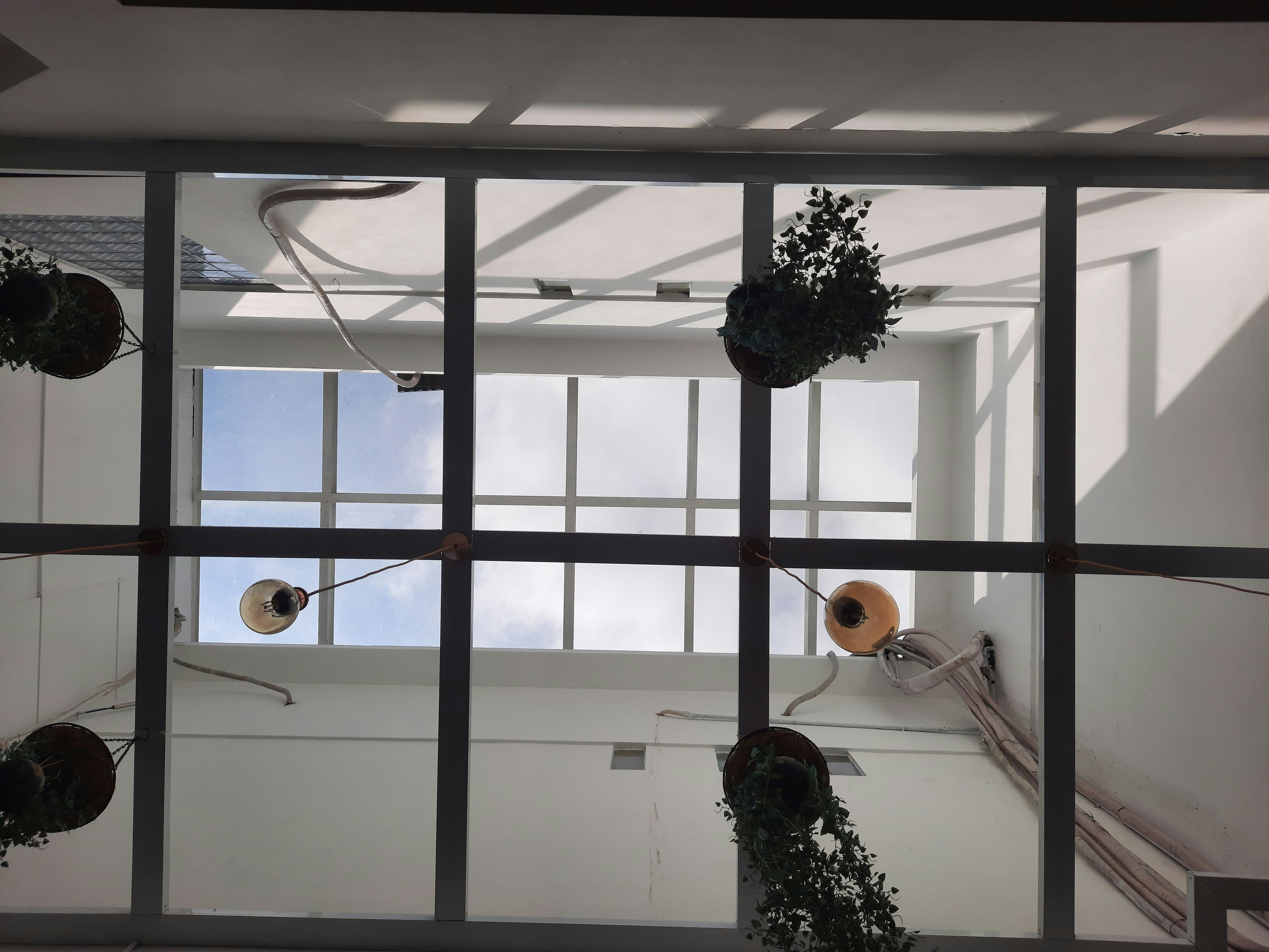 Grid-like ceiling with hanging plants and lights against a backdrop of blue sky and clouds.
