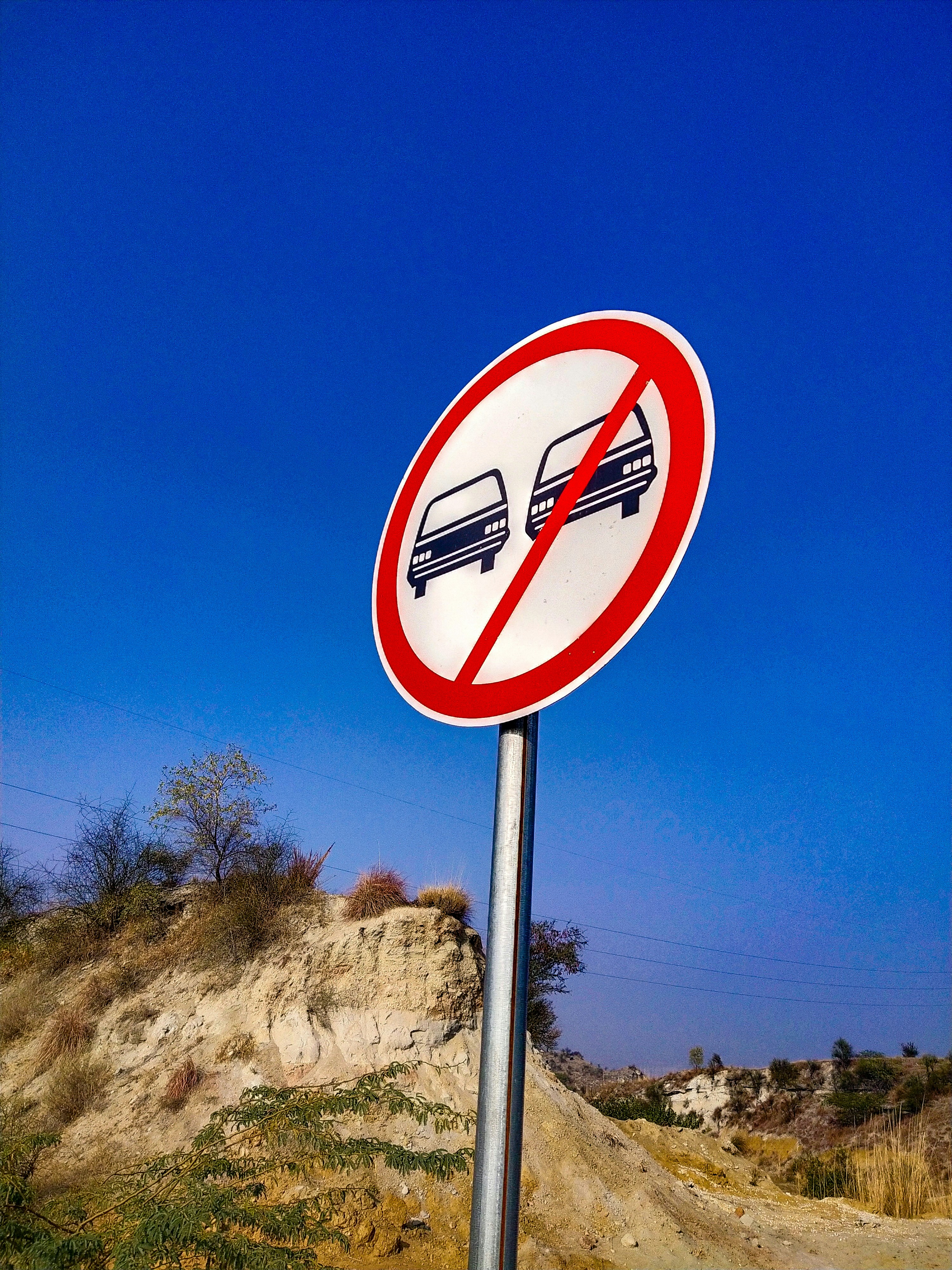 Vivo V2024 Sample Shots