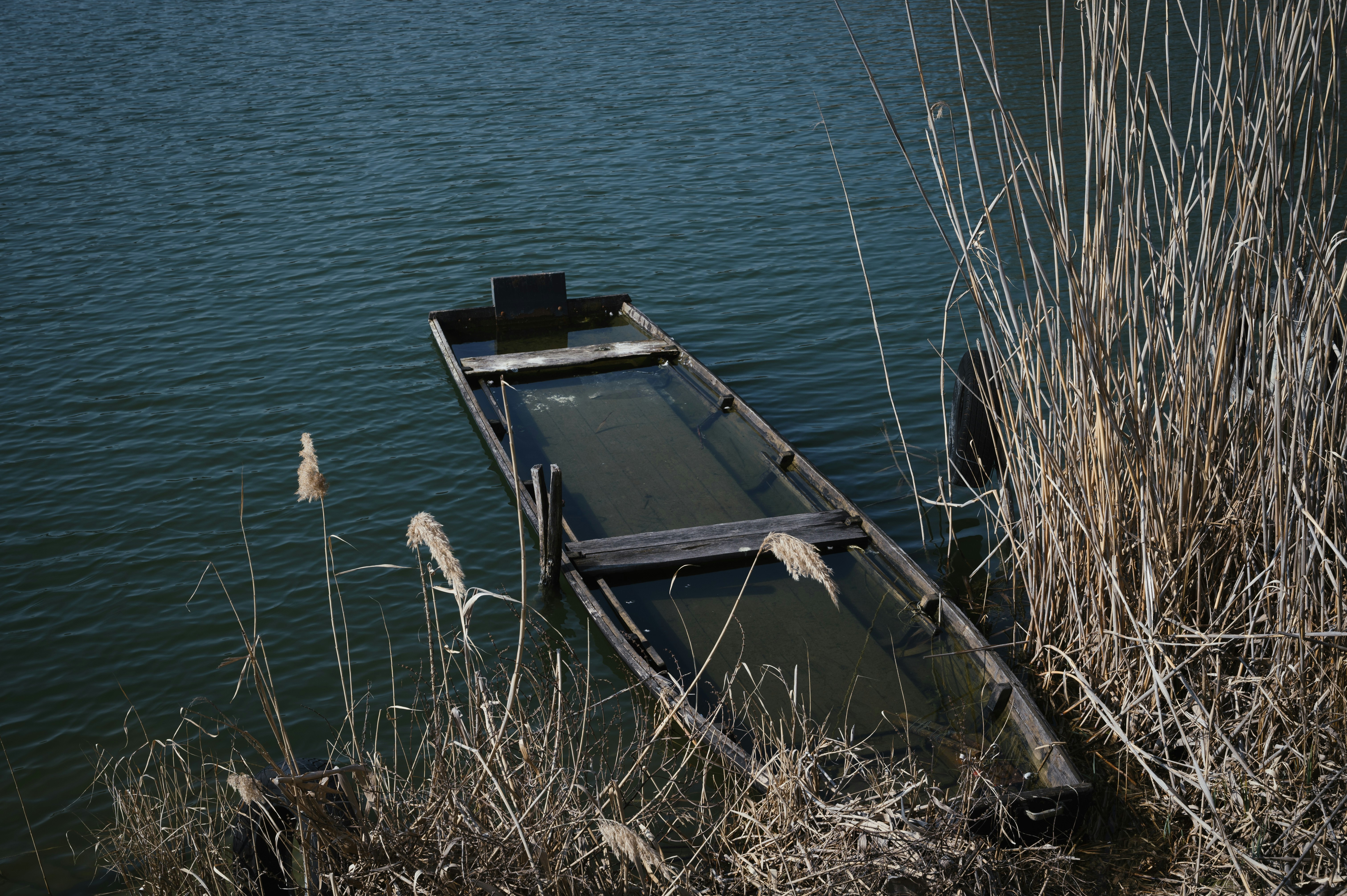 Rusted Vessel Resting by the Reed-Trimmed Shore