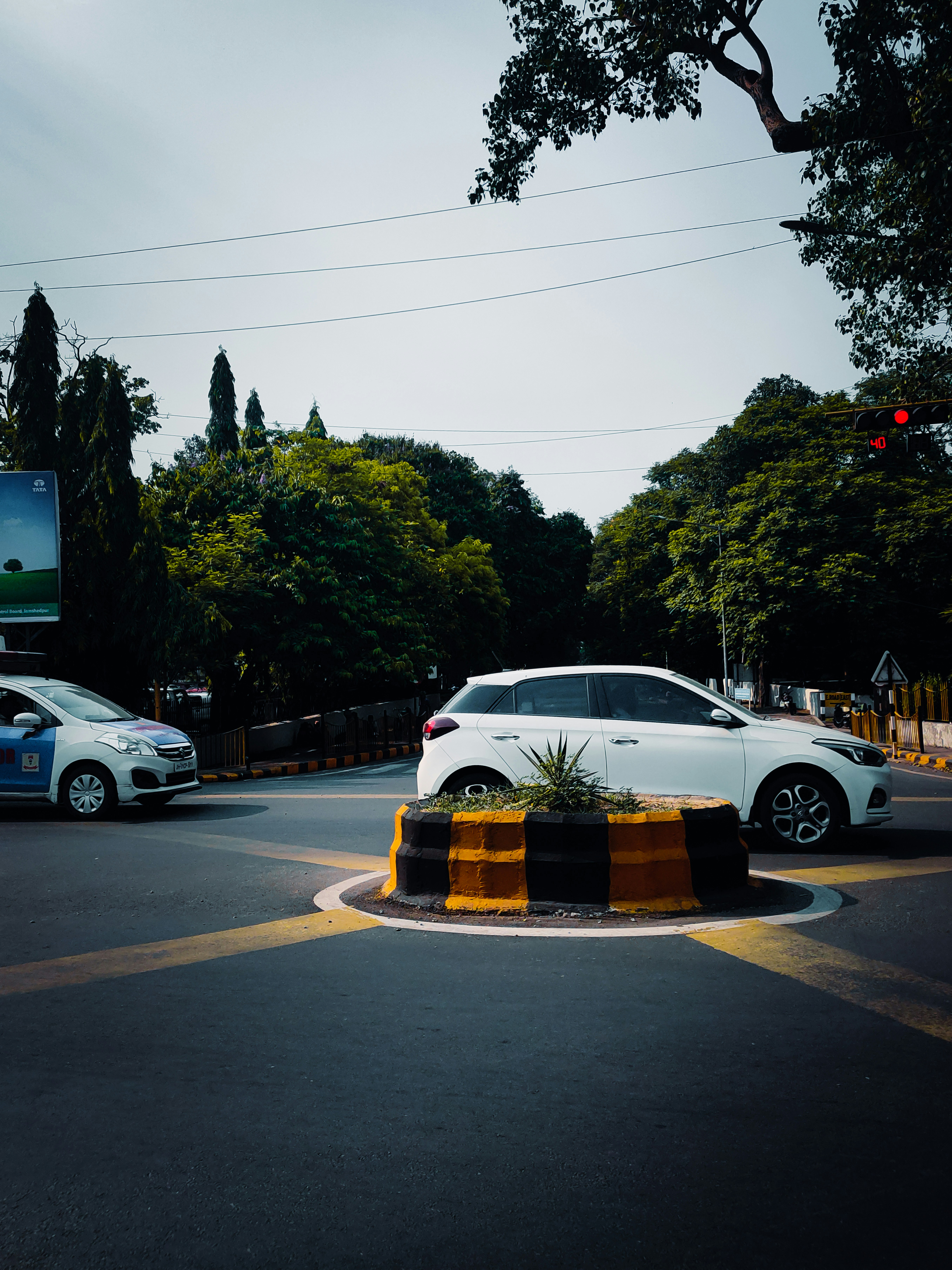 Centerpiece at the Roundabout: White SUV Framed by Green Canopy