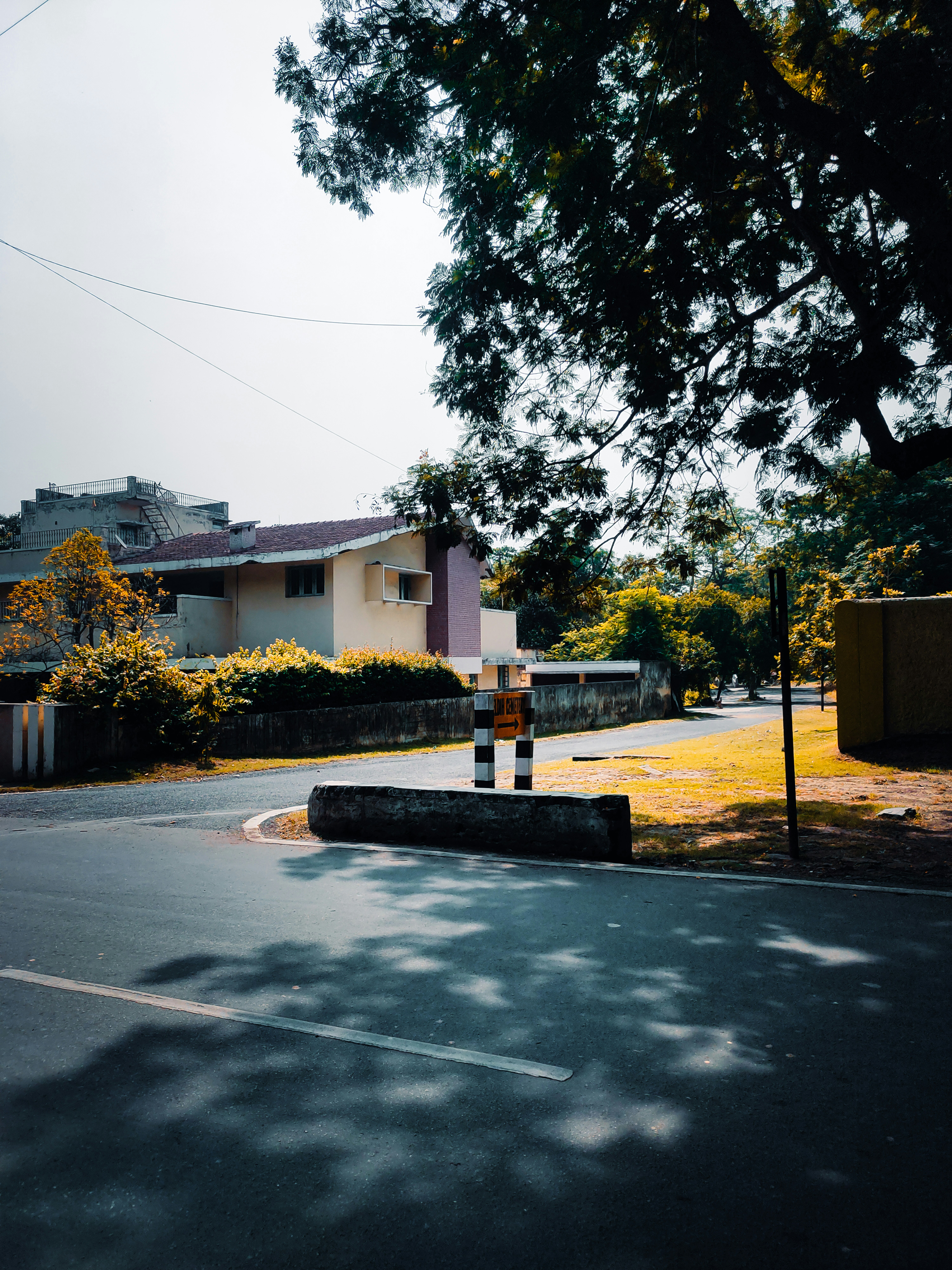 Sunlit suburban street curves past a striped barrier and low walls, under a canopy of overhanging trees and quiet houses.