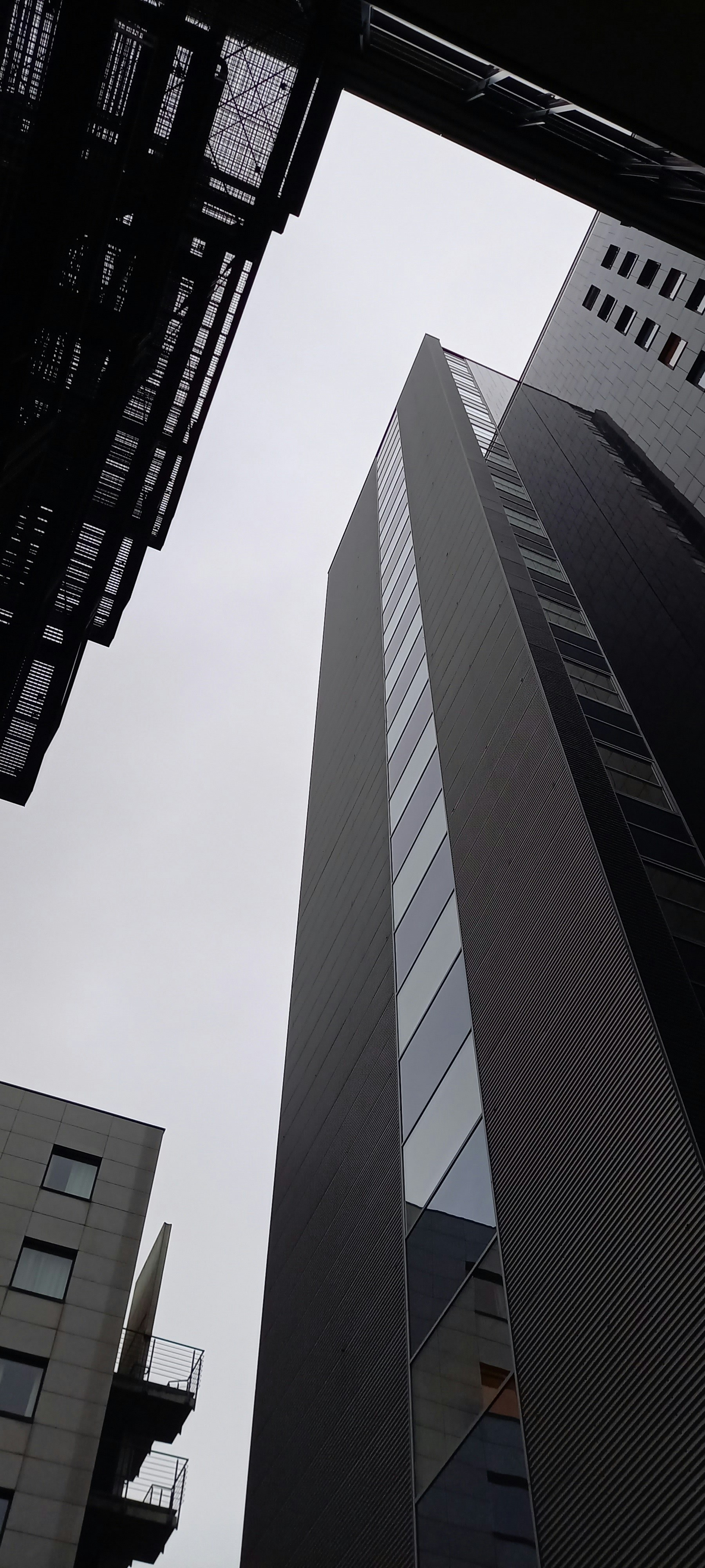 Photo by Frank Weichelt with Samsung Galaxy A41