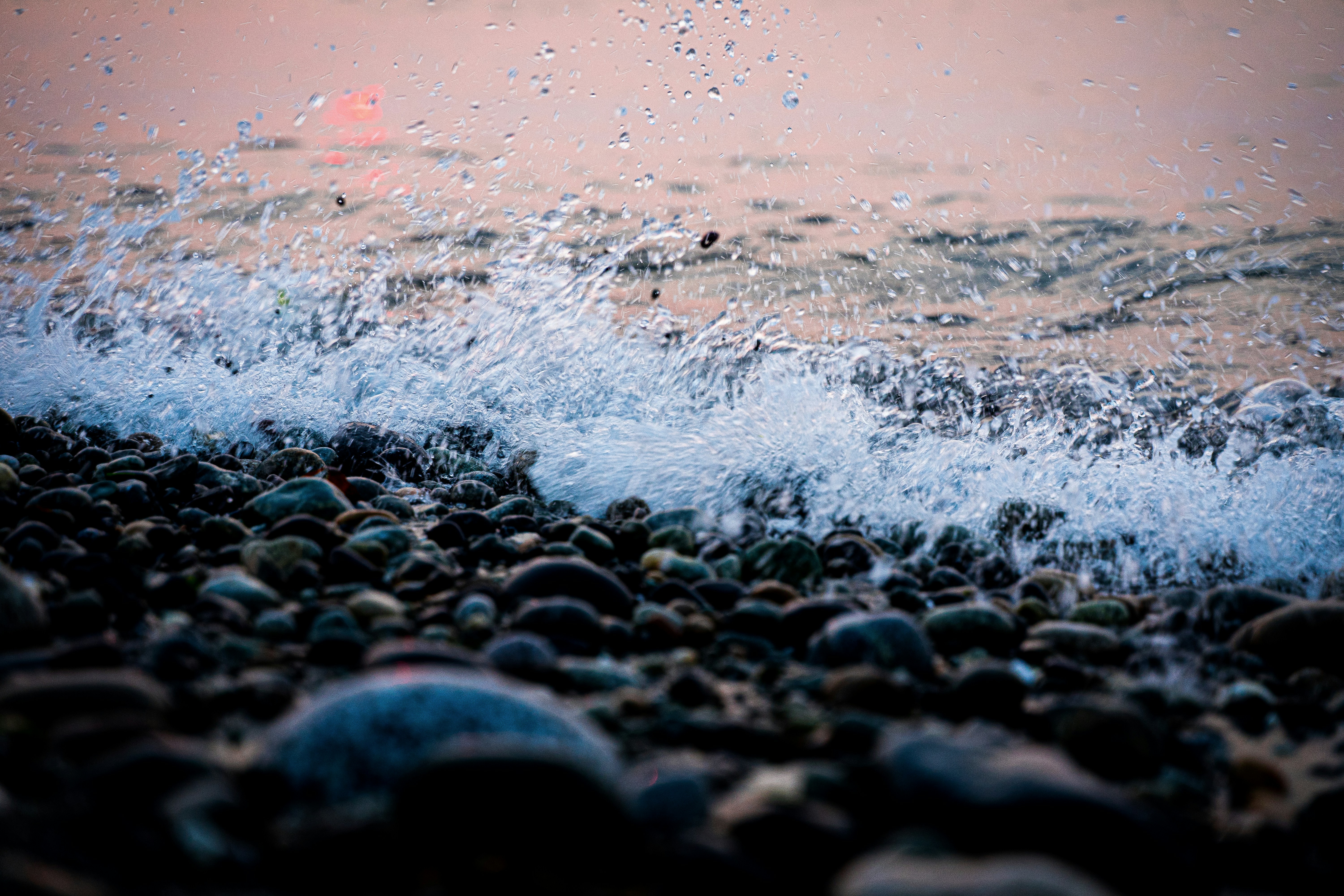 FERRIS ISLAND 📖 - by S.E. Reid - Talebones