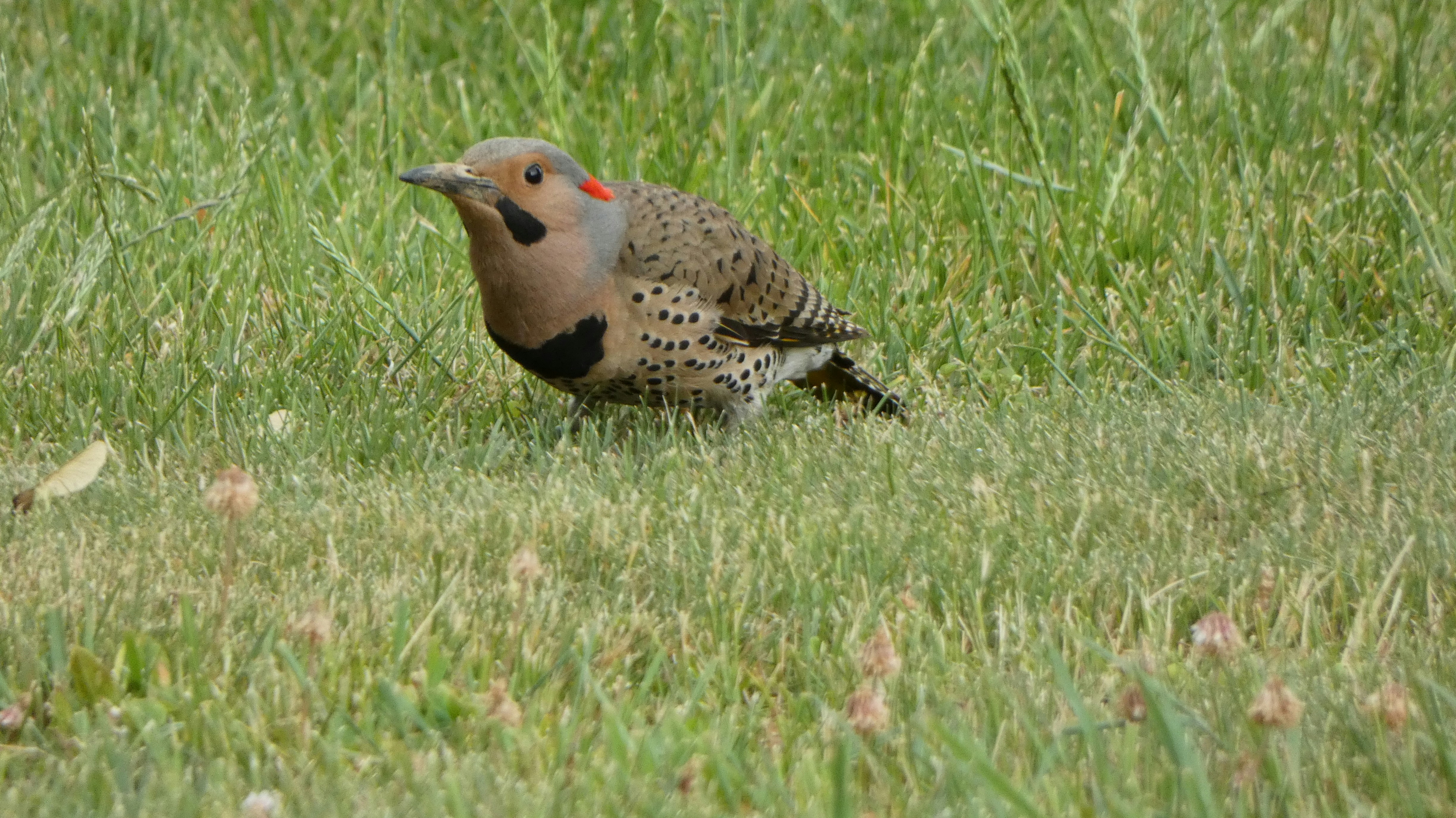 Kimberly Means (@kimberlymeans) | Unsplashフォトコミュニティ
