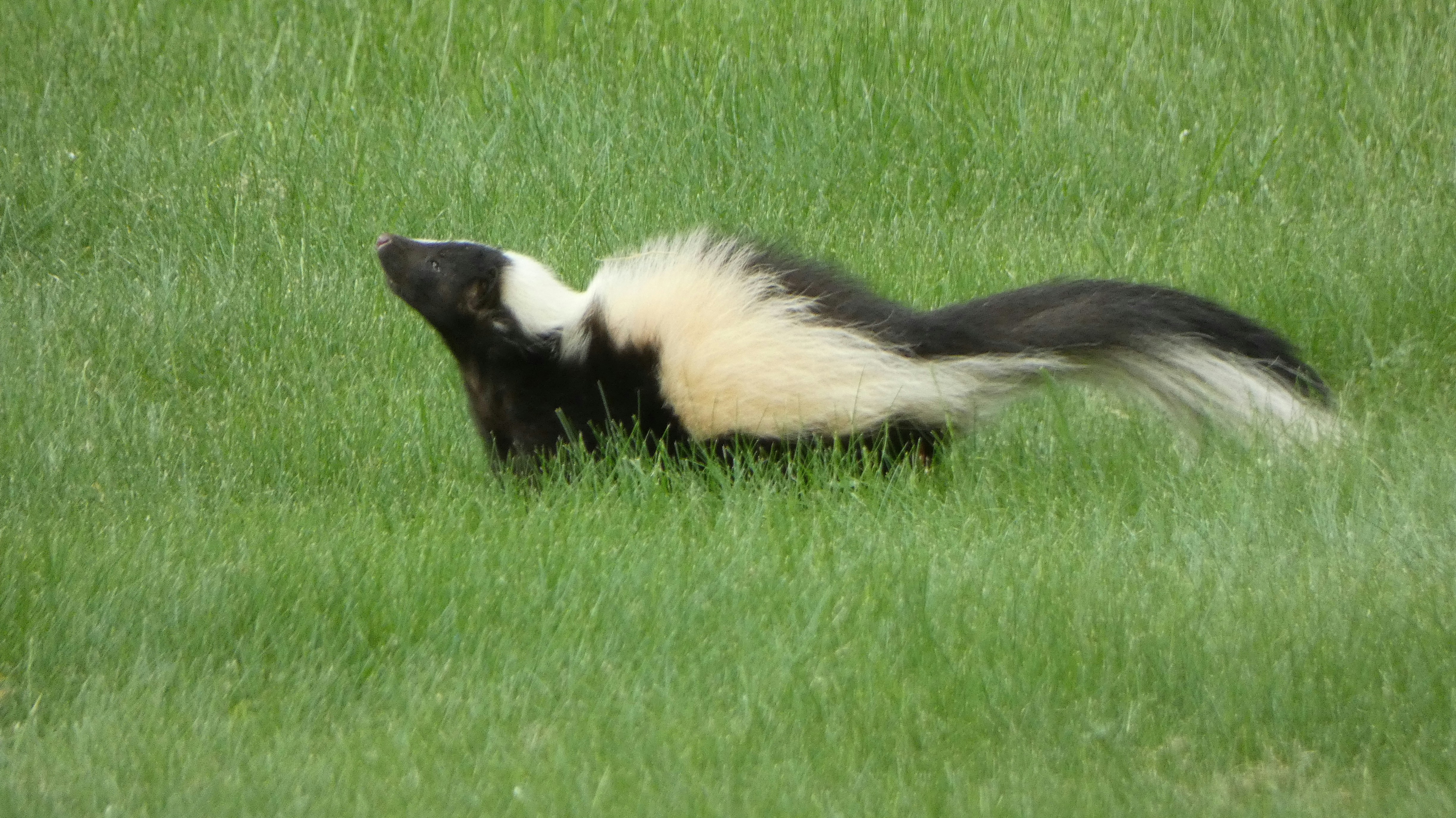 Kimberly Means (@kimberlymeans) | Unsplash Photo Community
