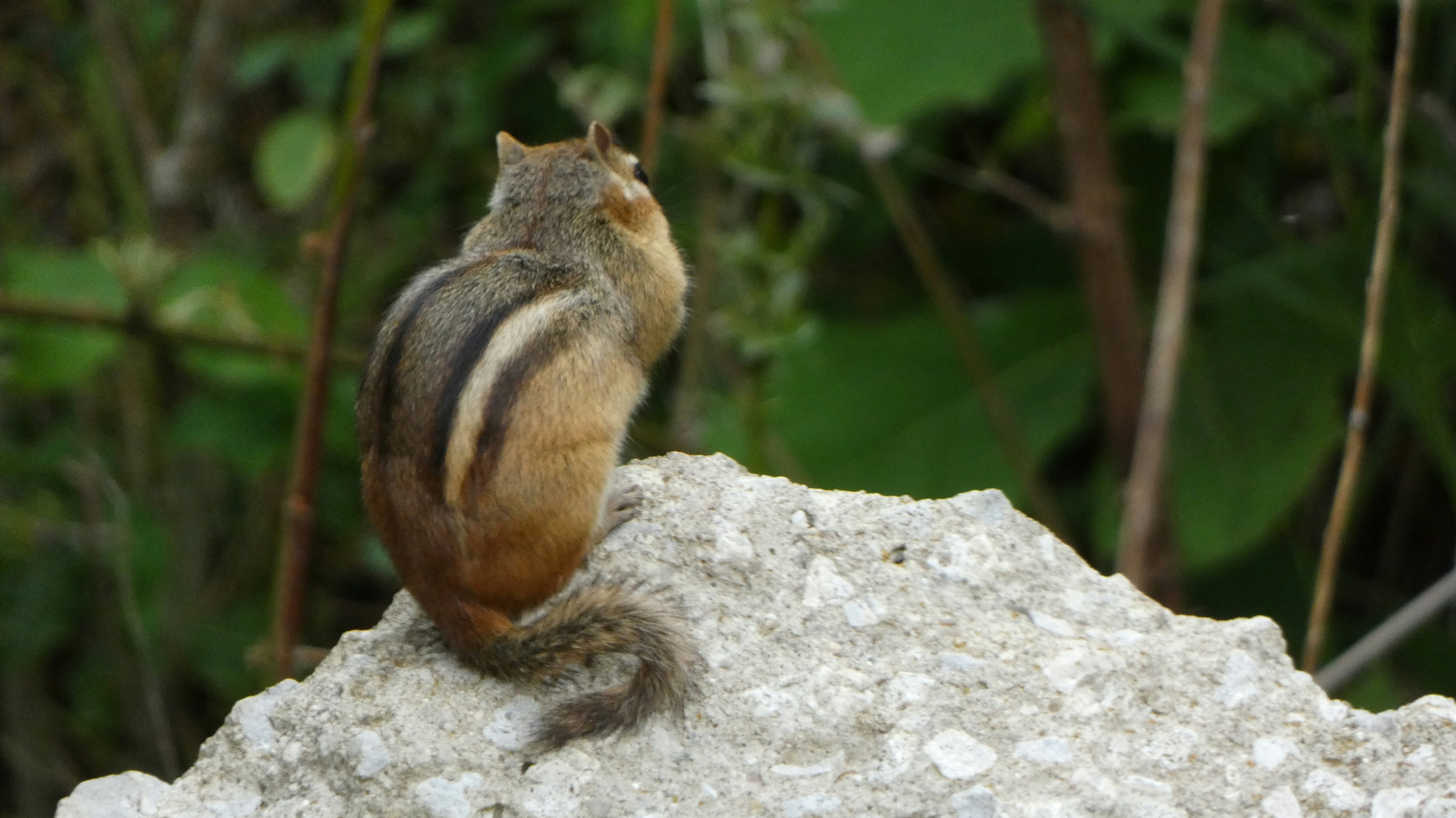 Kimberly Means (@kimberlymeans) | Unsplashフォトコミュニティ