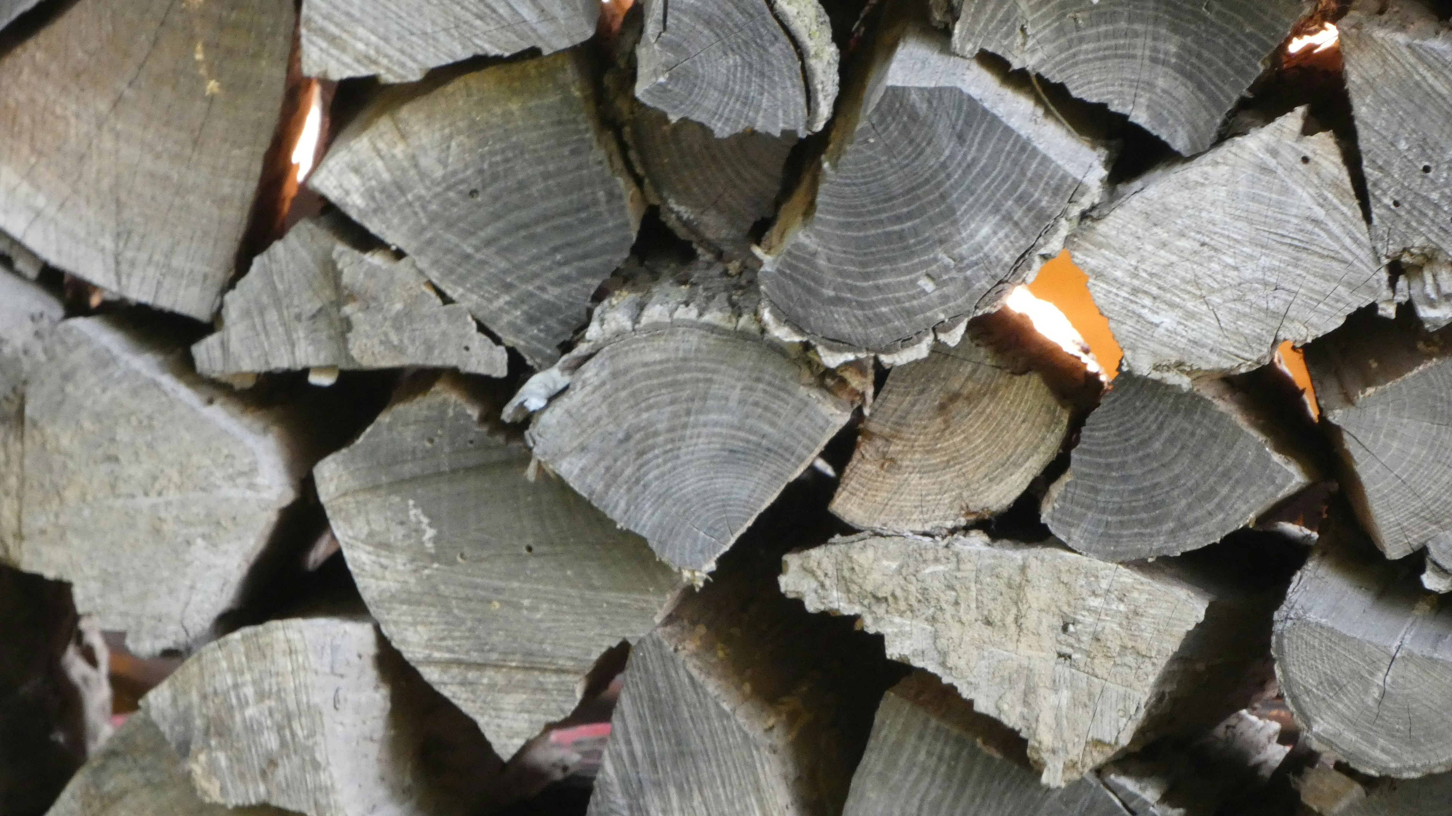 Kimberly Means (@kimberlymeans) | Unsplashフォトコミュニティ