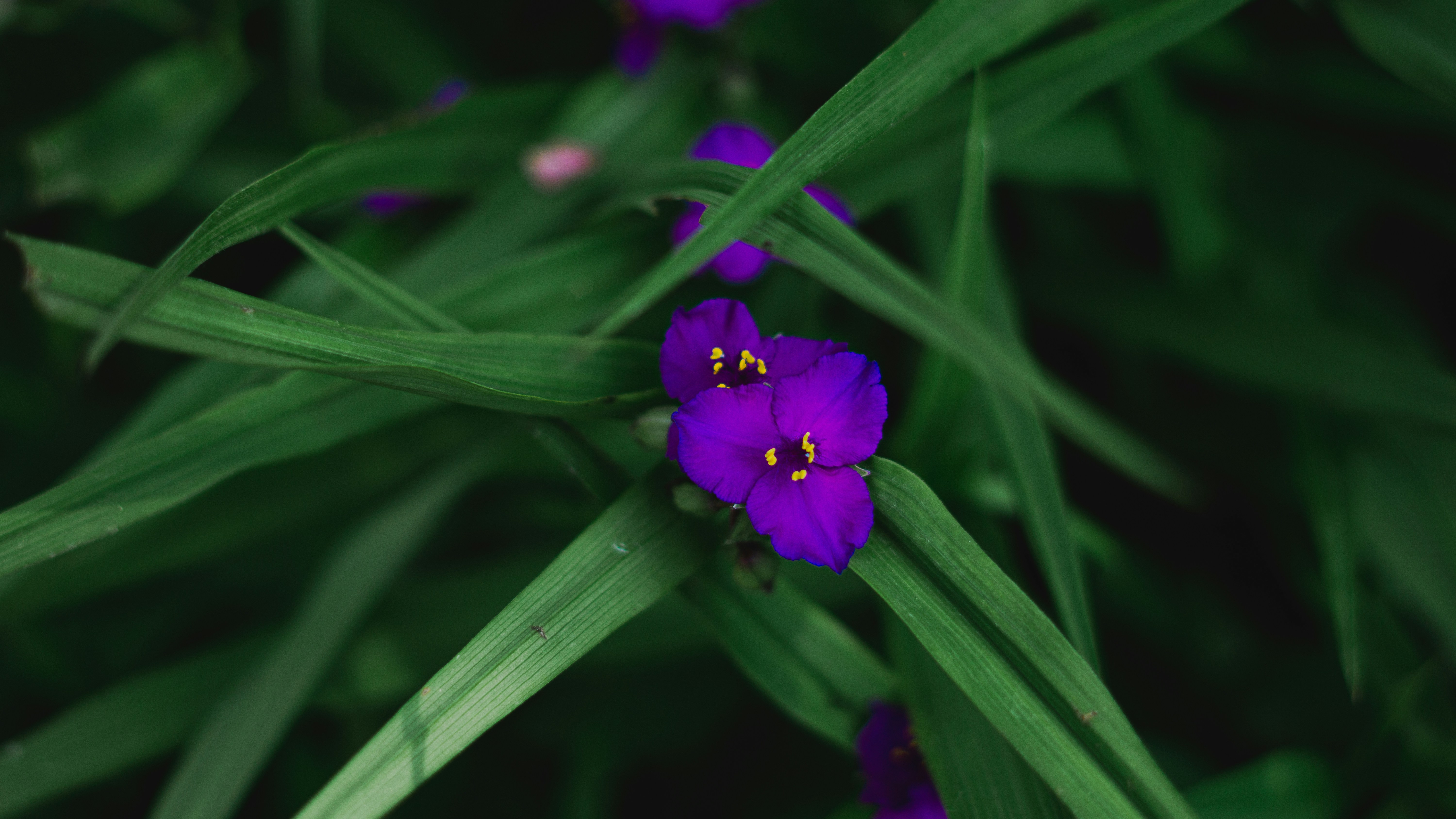 Photo by Clément D with Sony Alpha 6000