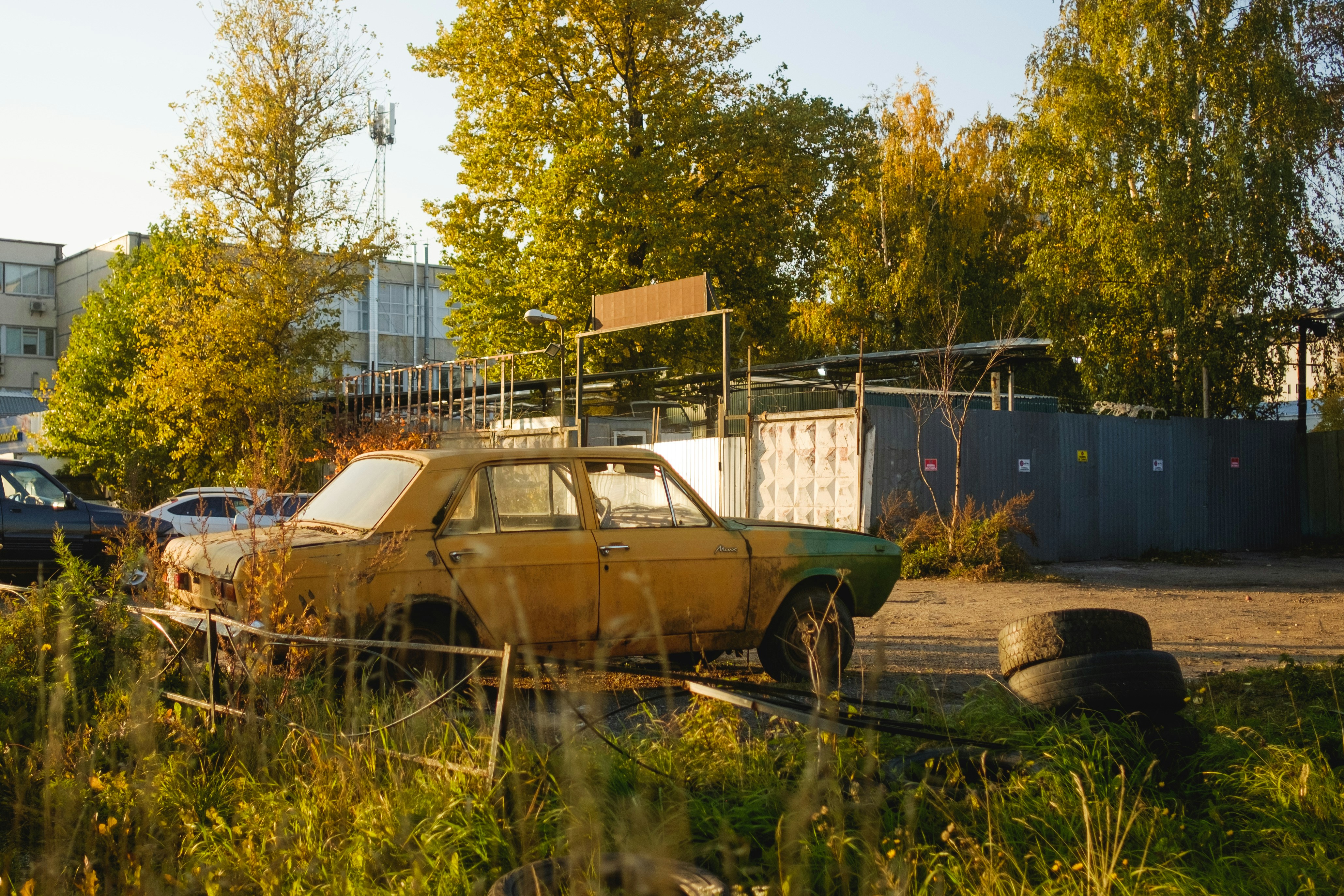 Sunlit Rust: An Old Coupe in an Overgrown Scrap Yard