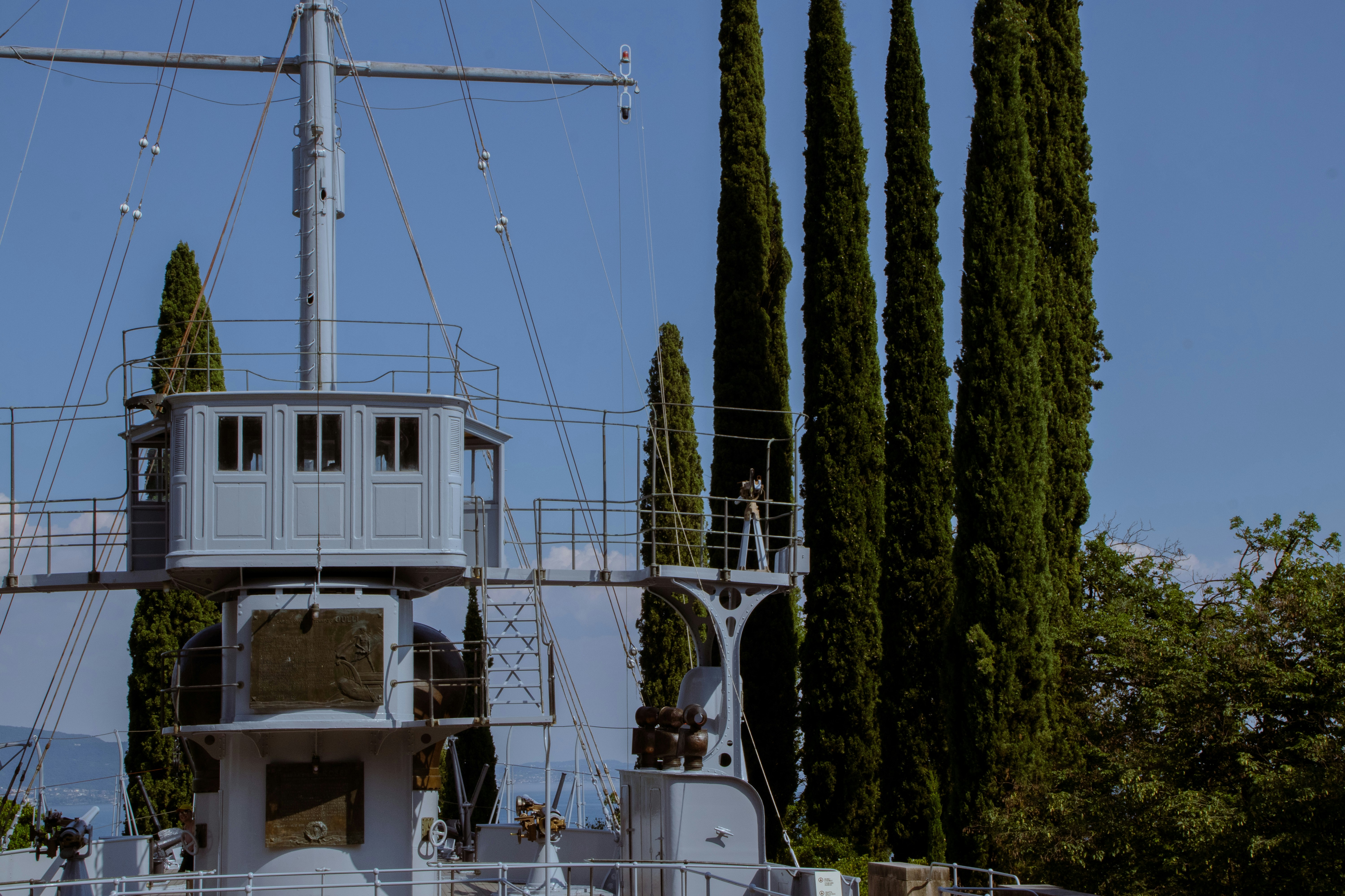 Cypress Sentinel Beside Maritime Relic
