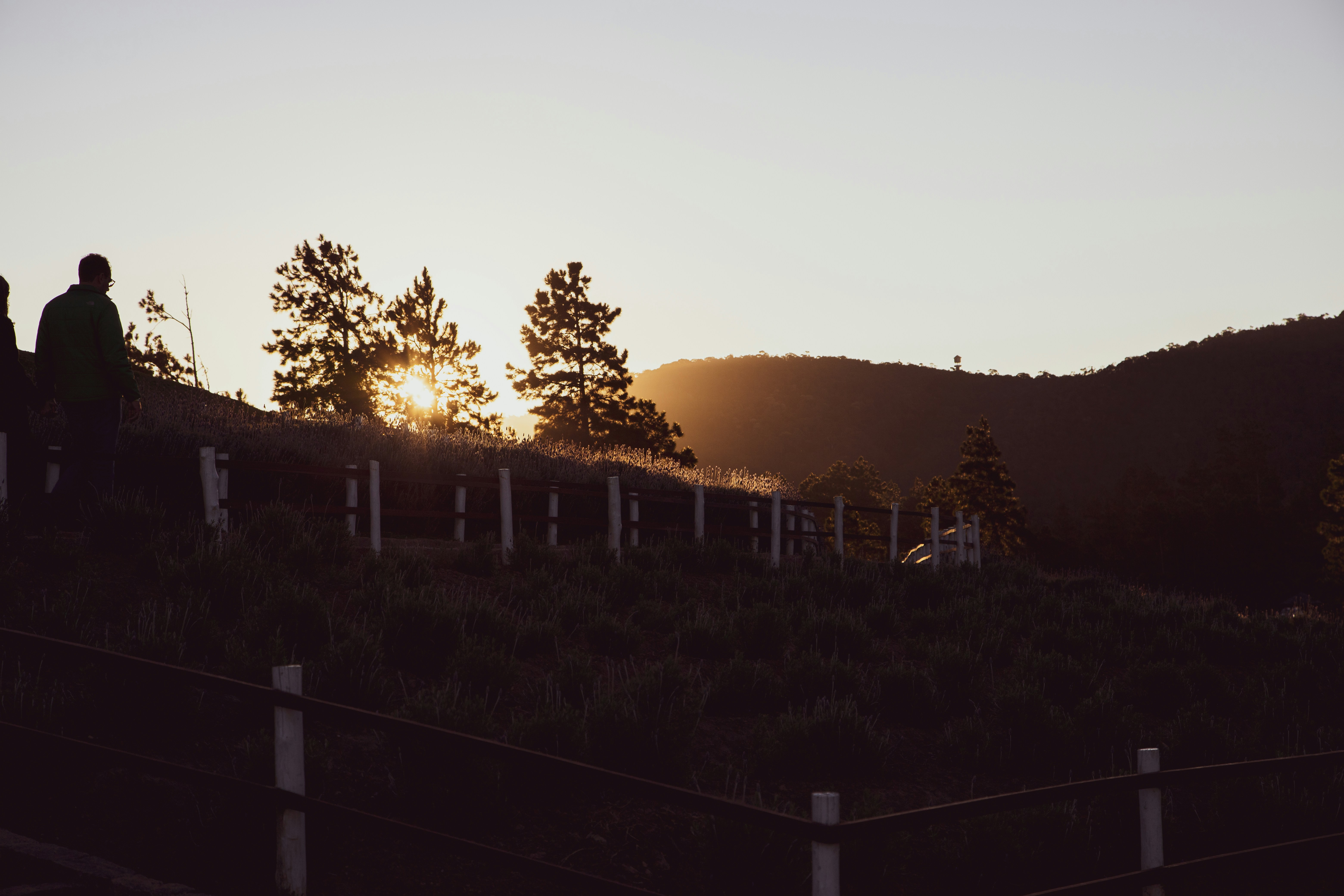 Horizon Ember: Dusk Silhouettes Along a Quiet Ridge