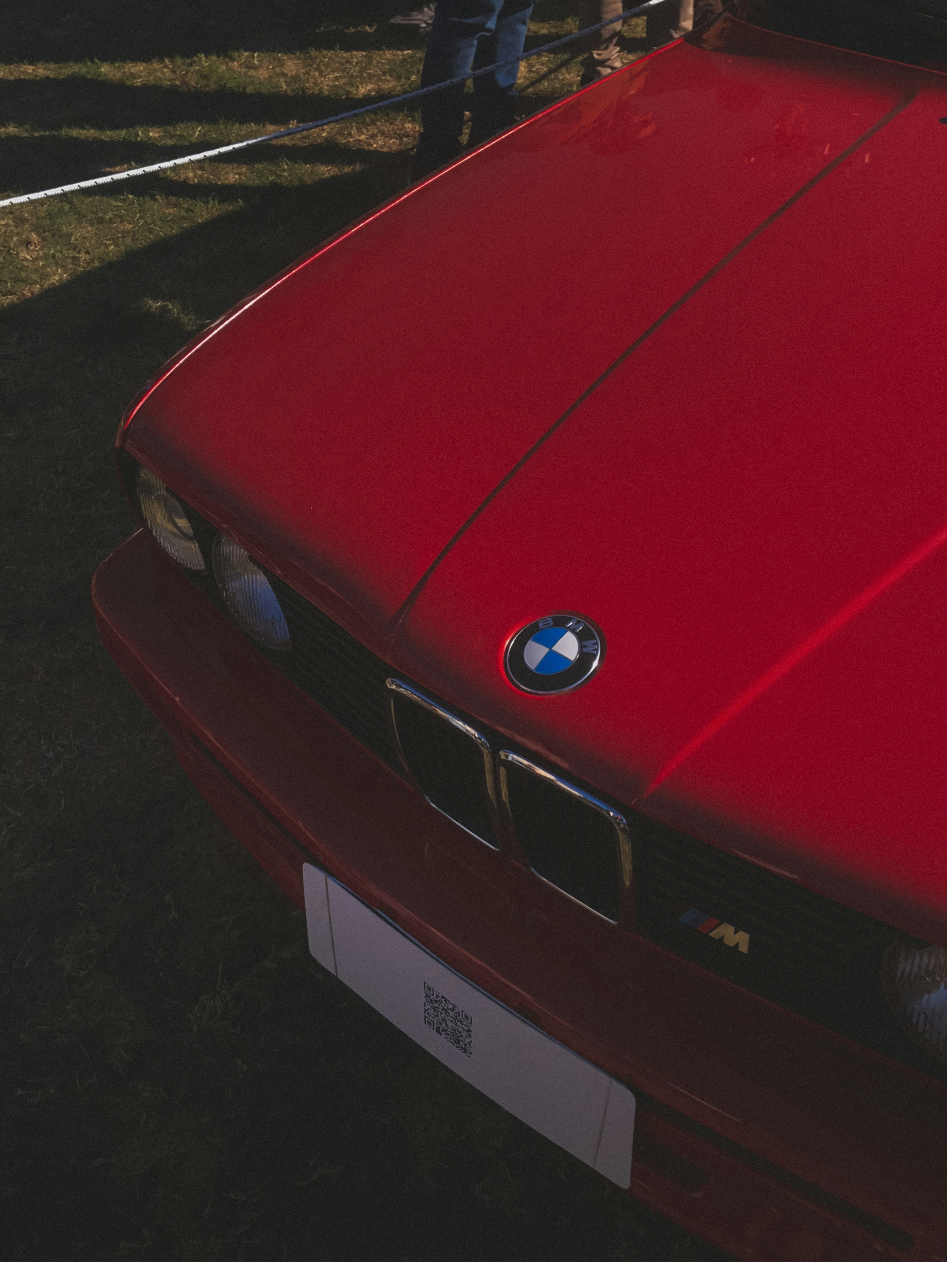 Racing Red: BMW Emblem and Hood Under Sunlit Car Show