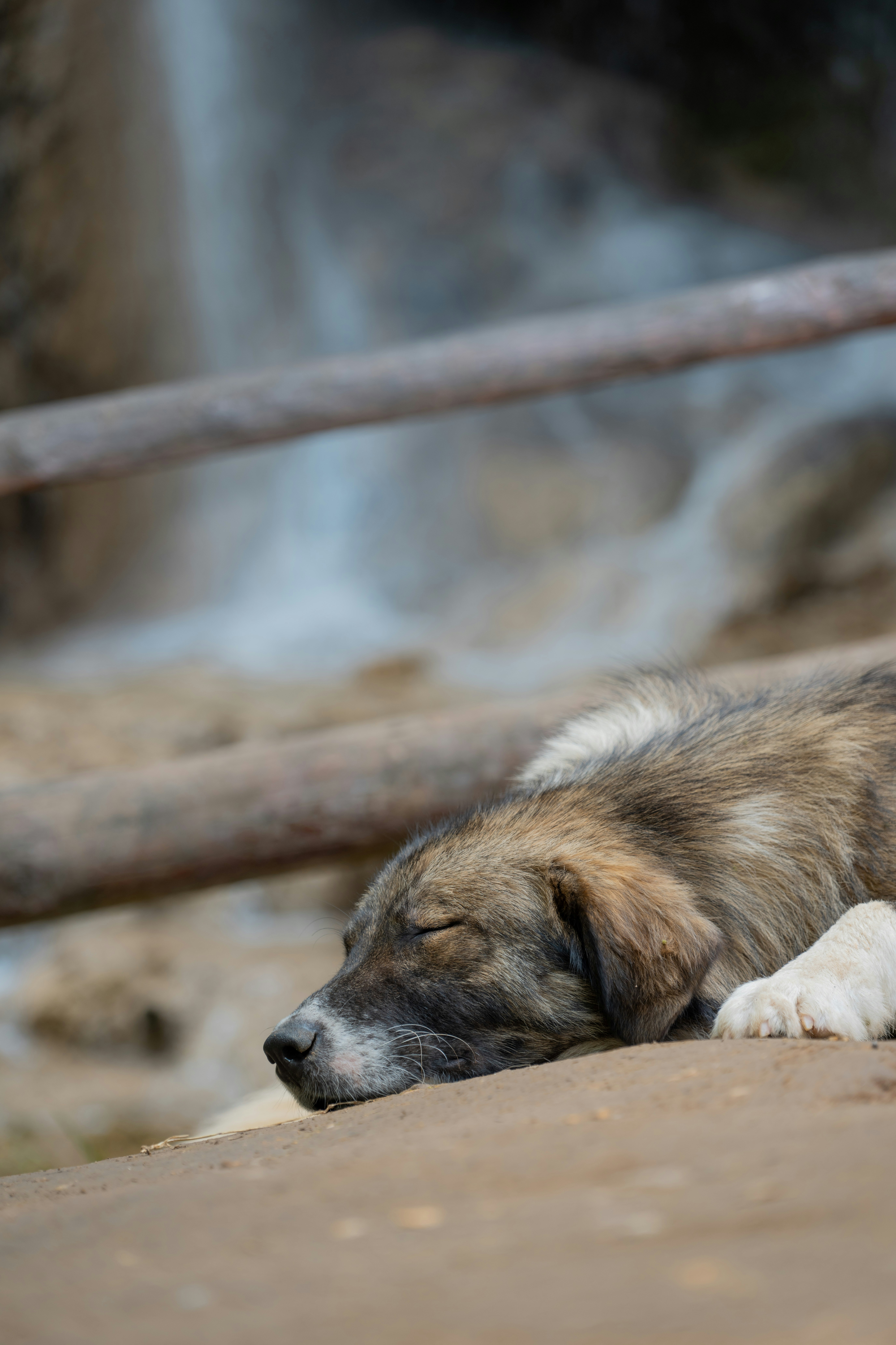Rustic Slumber by Weathered Logs and a Whispering Cascade