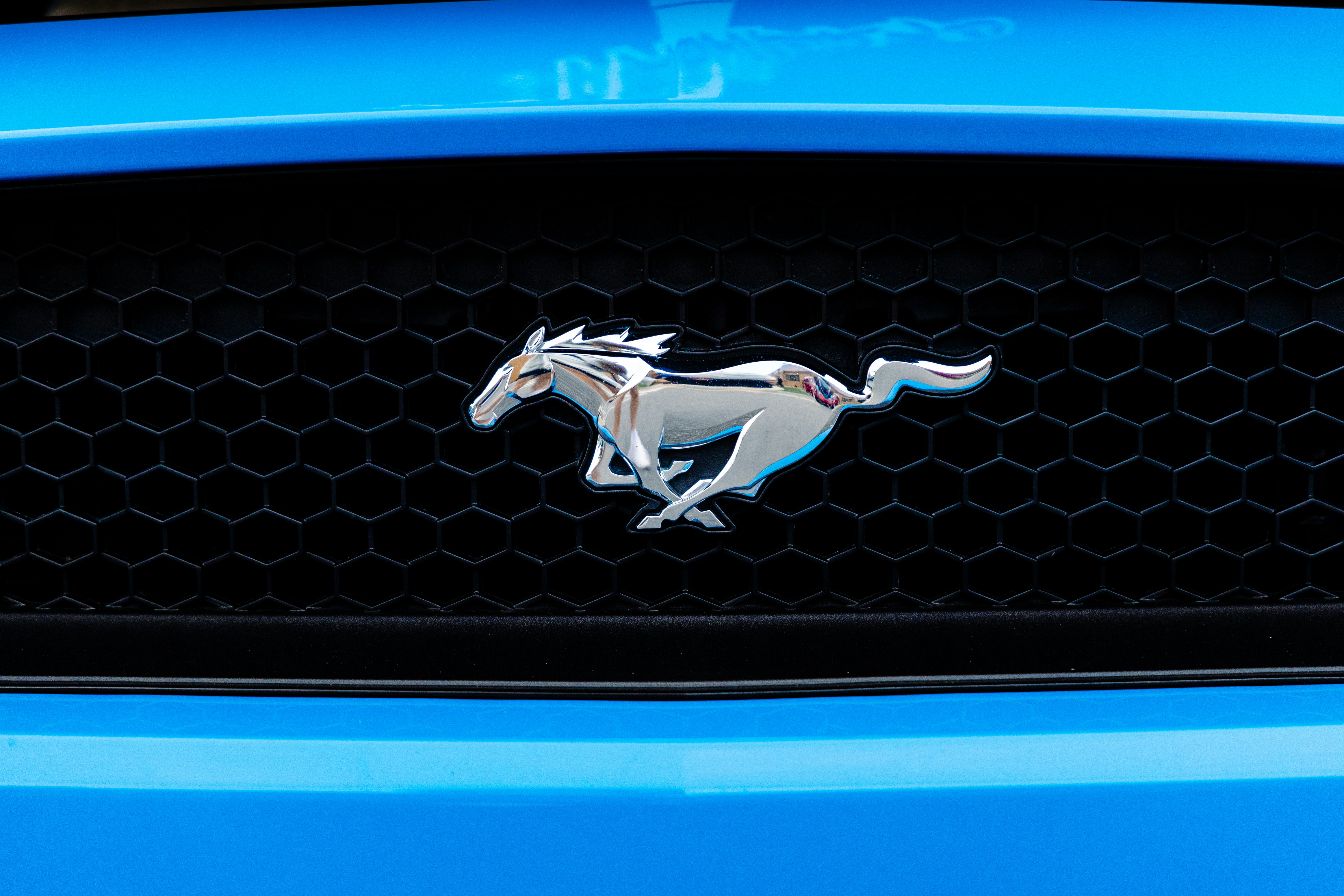 A close up of a mustang badge on a blue car photo – Free Car Image on ...
