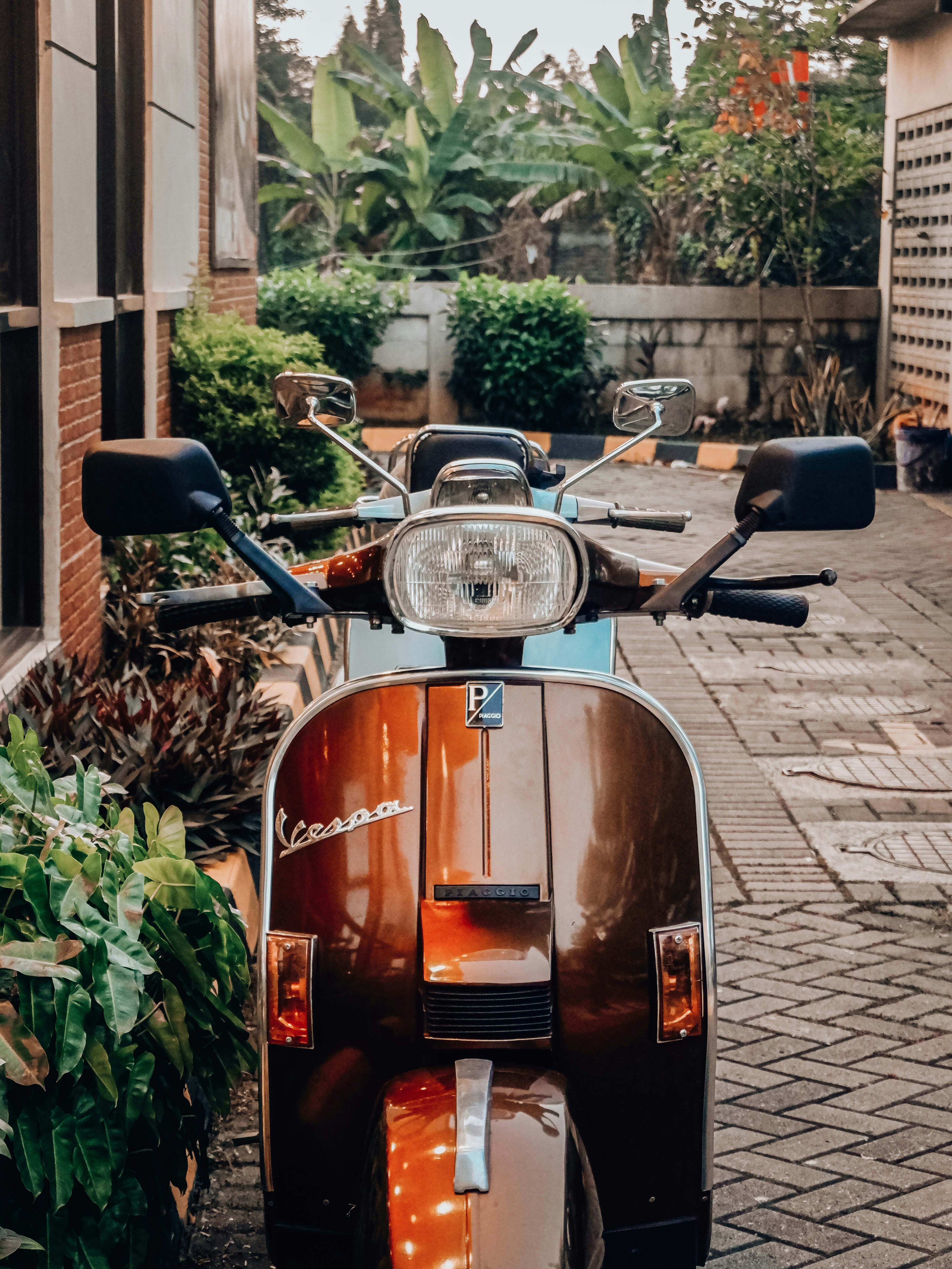 Copper Vespa Framed by Tropical Greens in a Sunlit Courtyard