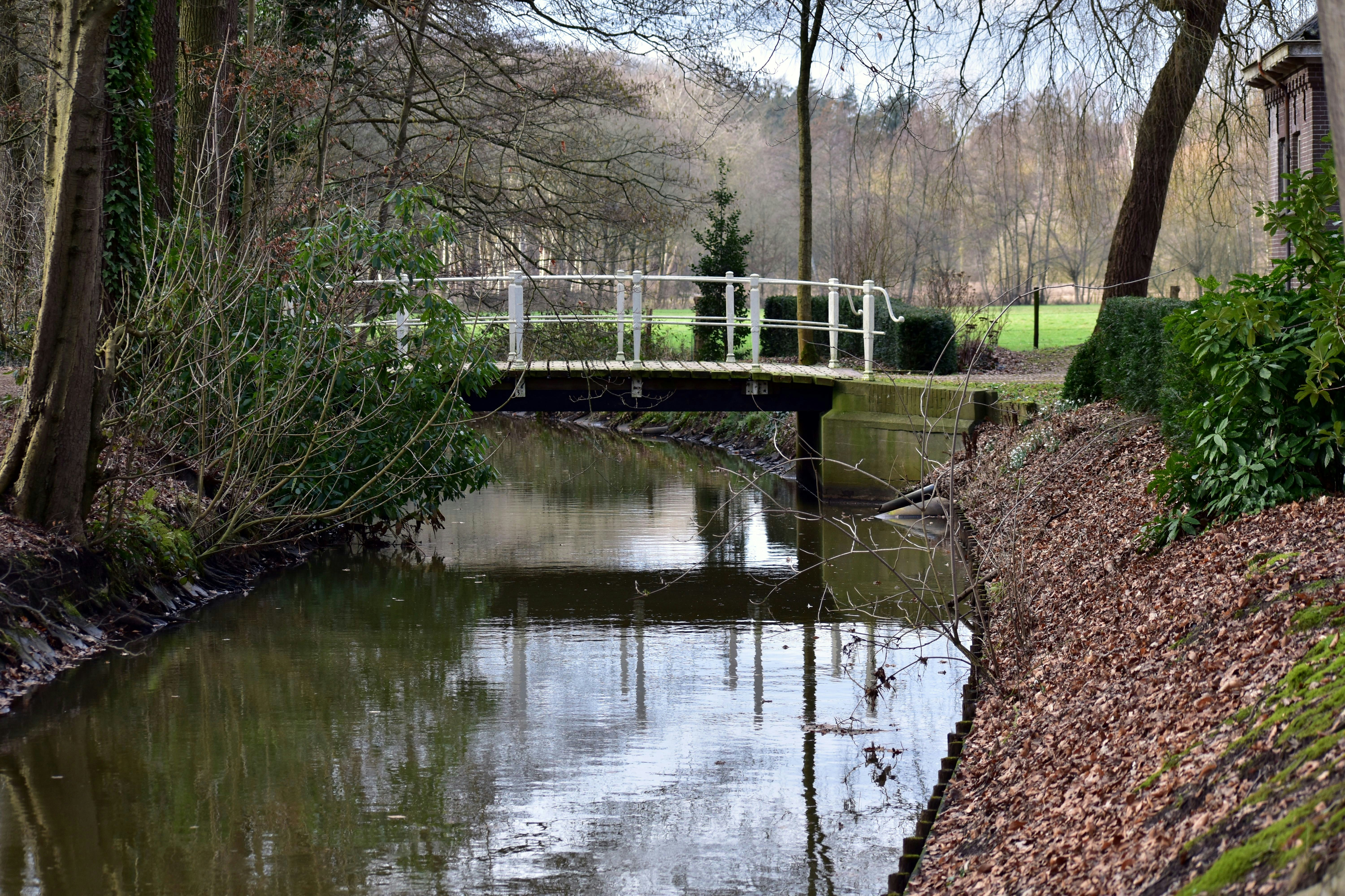 A small bridge over a small river in a park photo – Free Raalte Image ...
