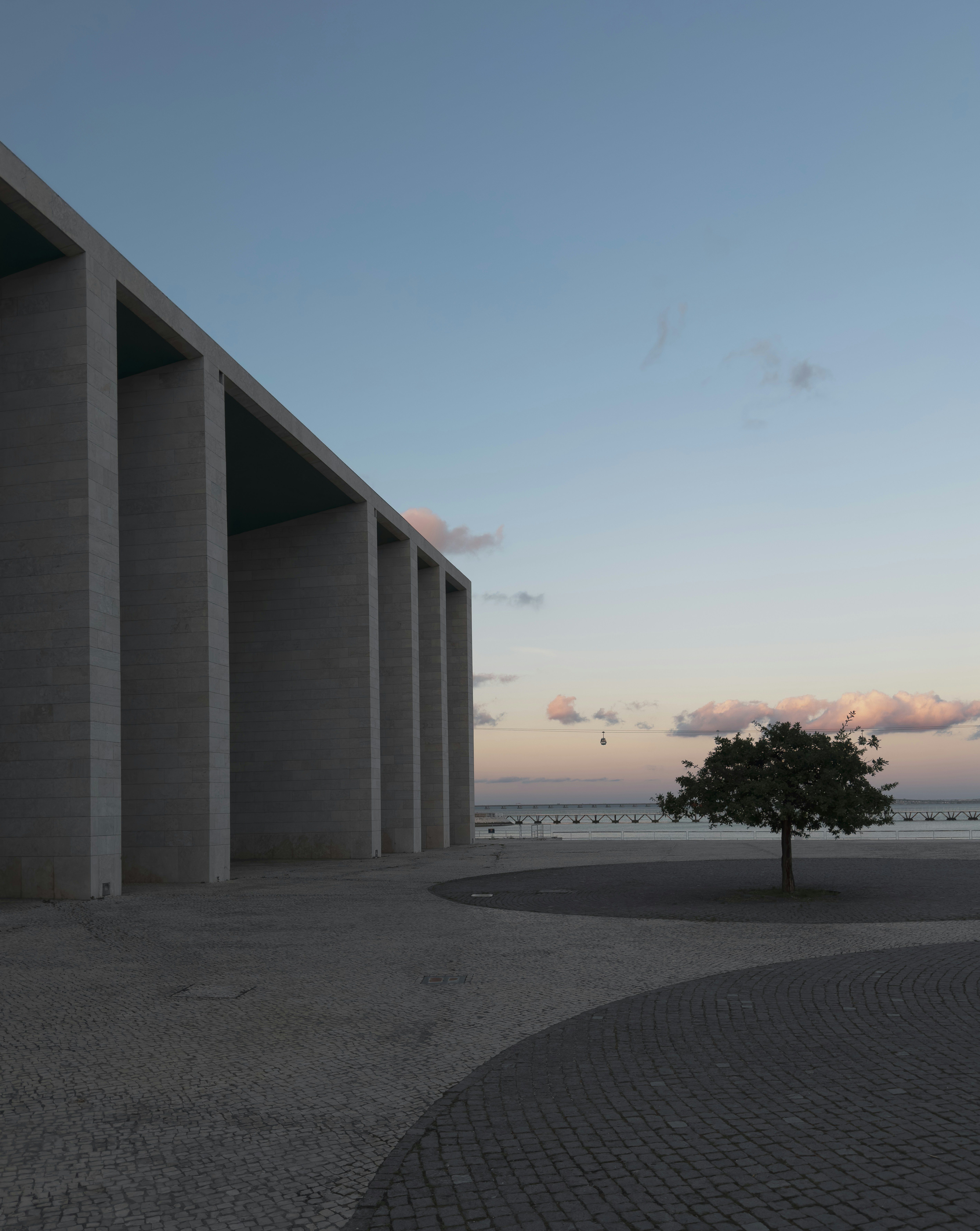 A lone tree in front of a concrete building photo – Free Sunset Image ...
