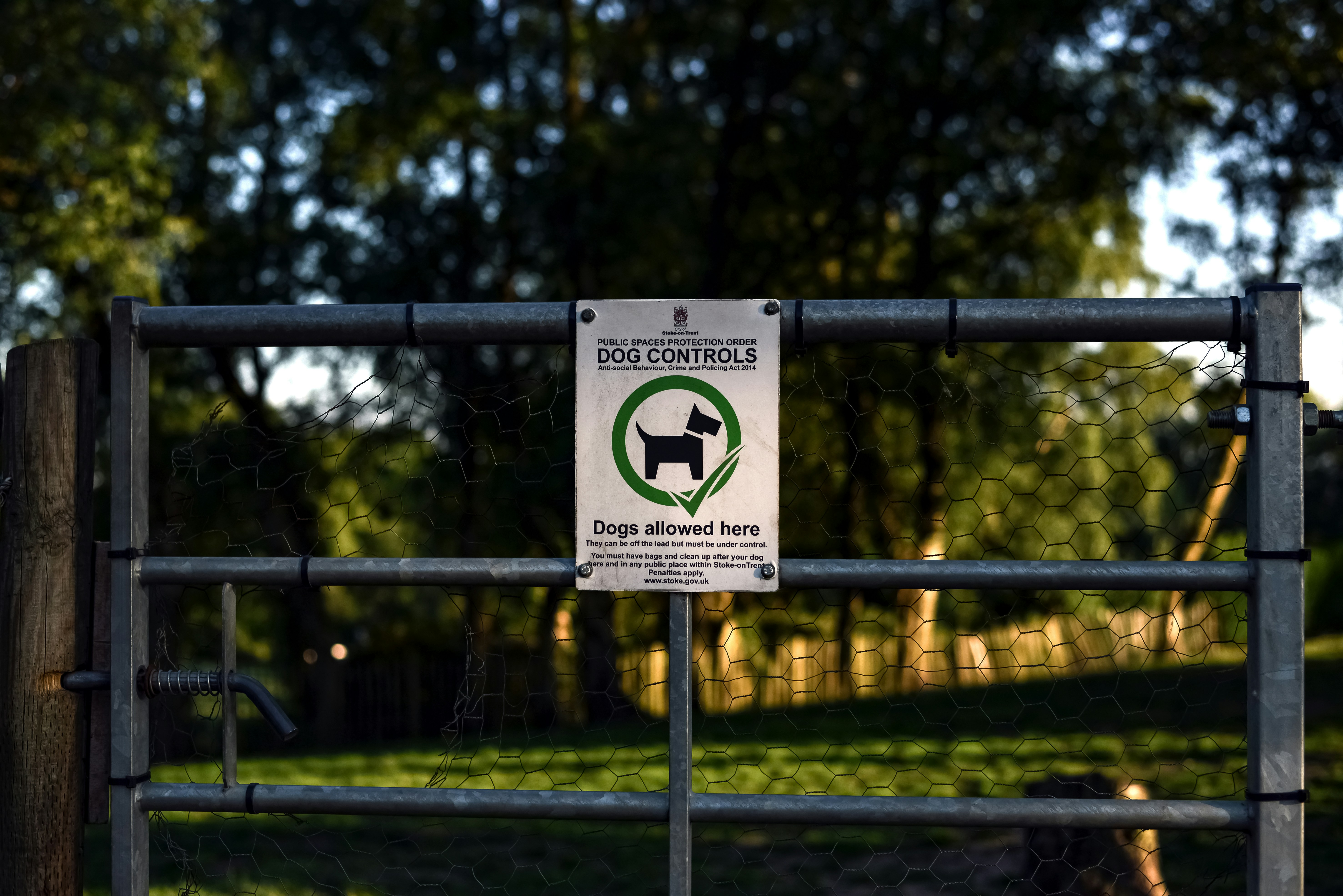 Dogs allowed sign on a fence in a park