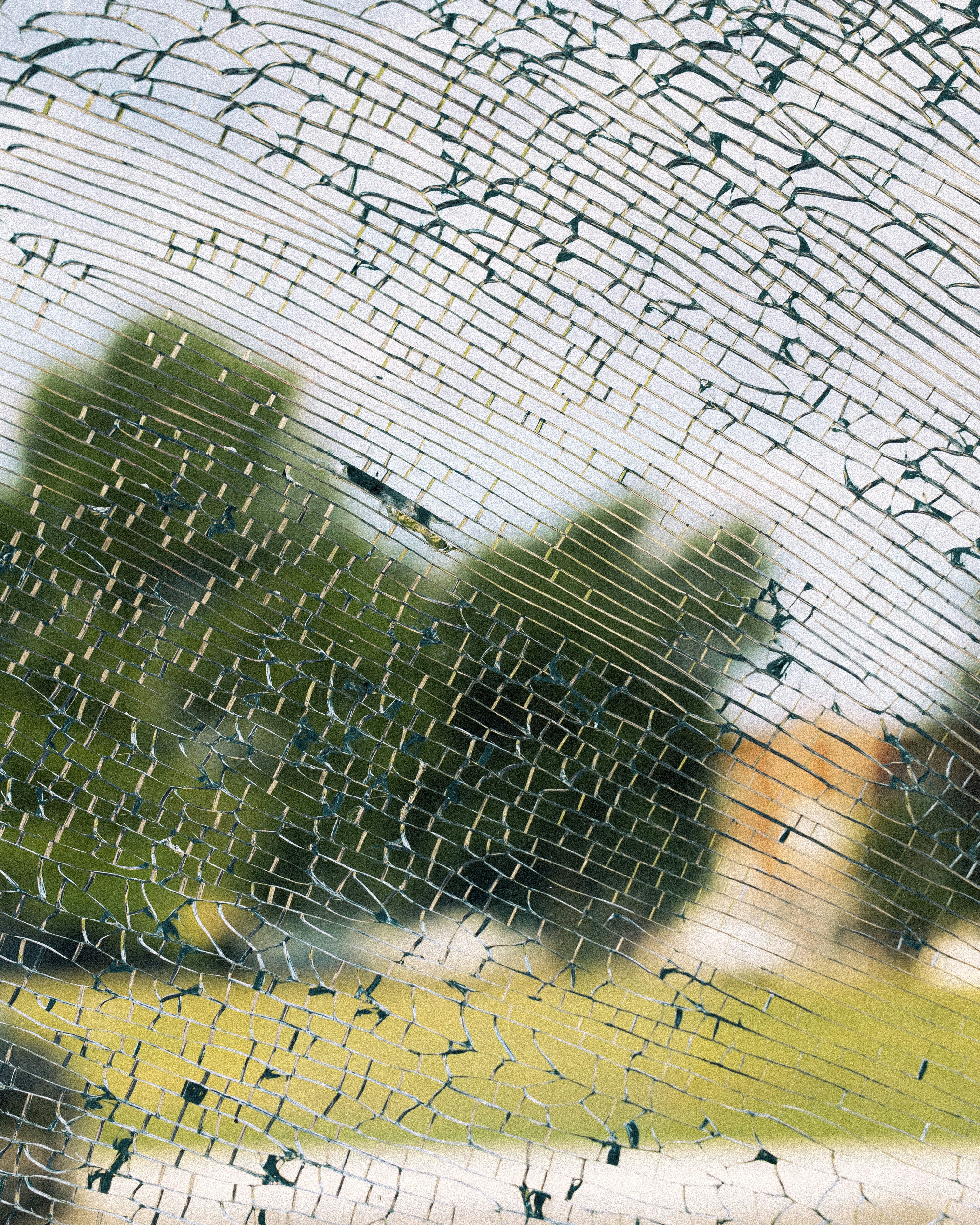 A view through a windshield of trees and grass photo – Free Spider web ...