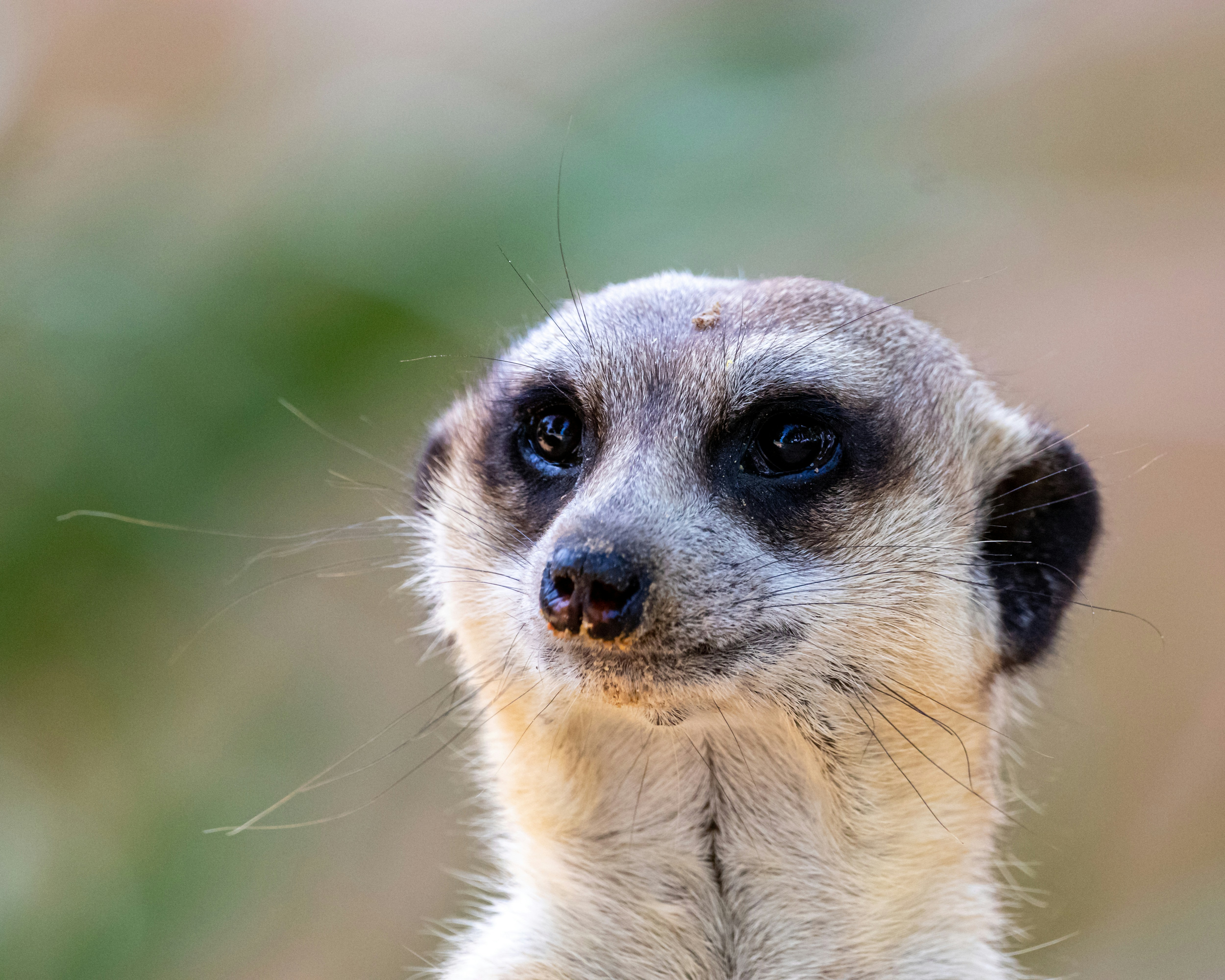 Sentinel Pictures | Download Free Images on Unsplash