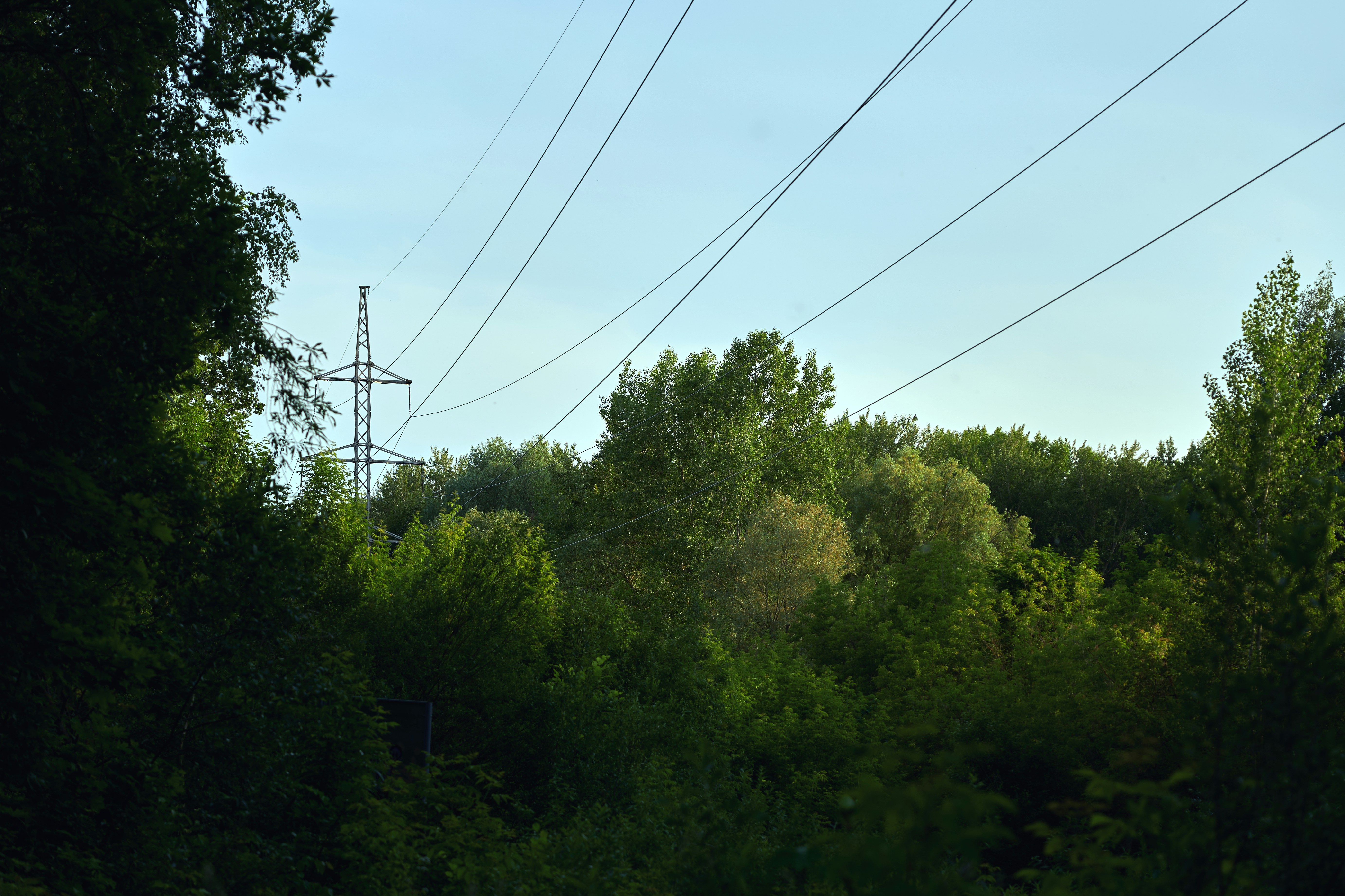 Lattice of Light: Power Lines Cutting Through a Forested Ridge