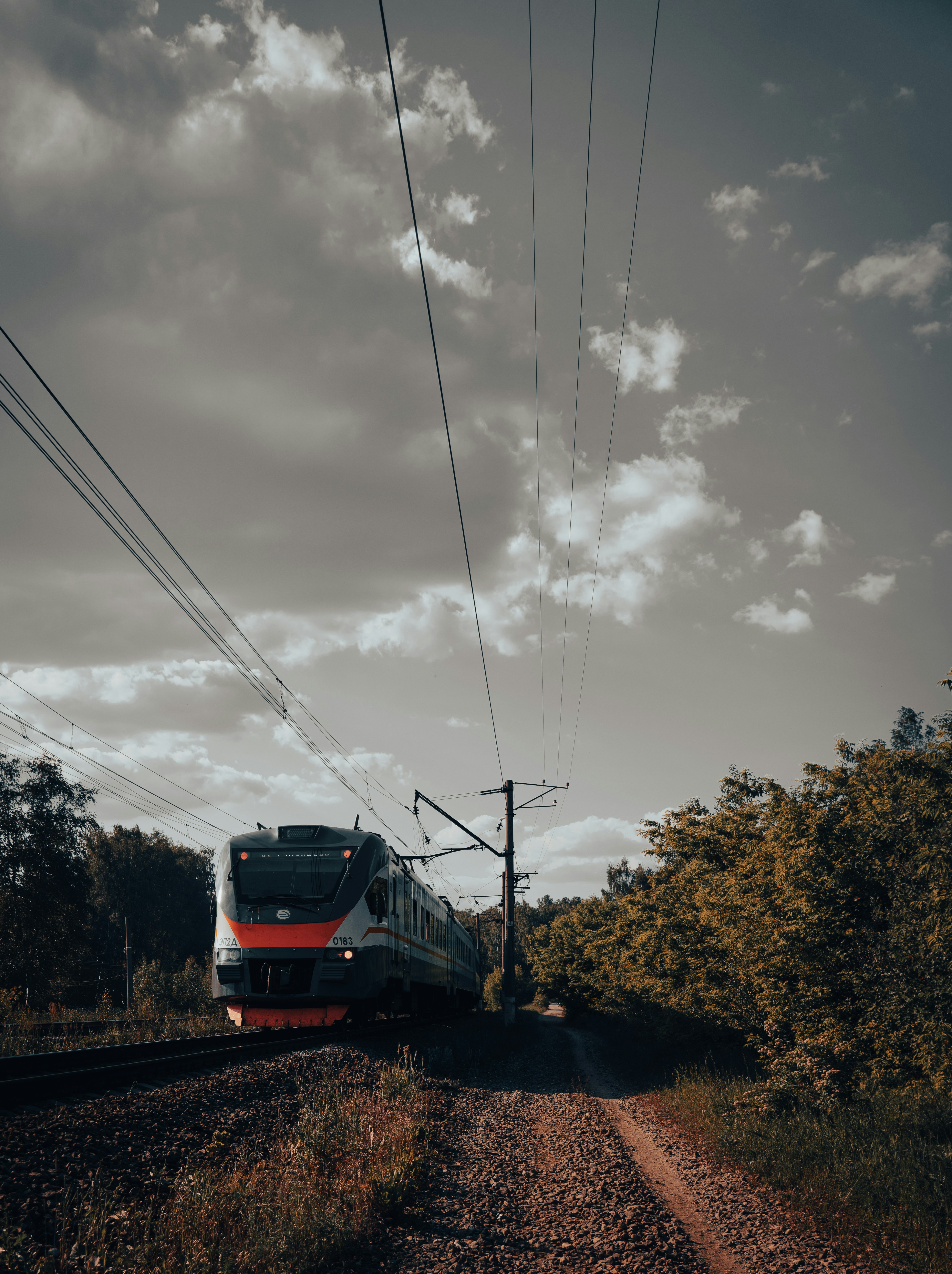 Overhead Rails: A Modern Train Under a Web of Power Lines